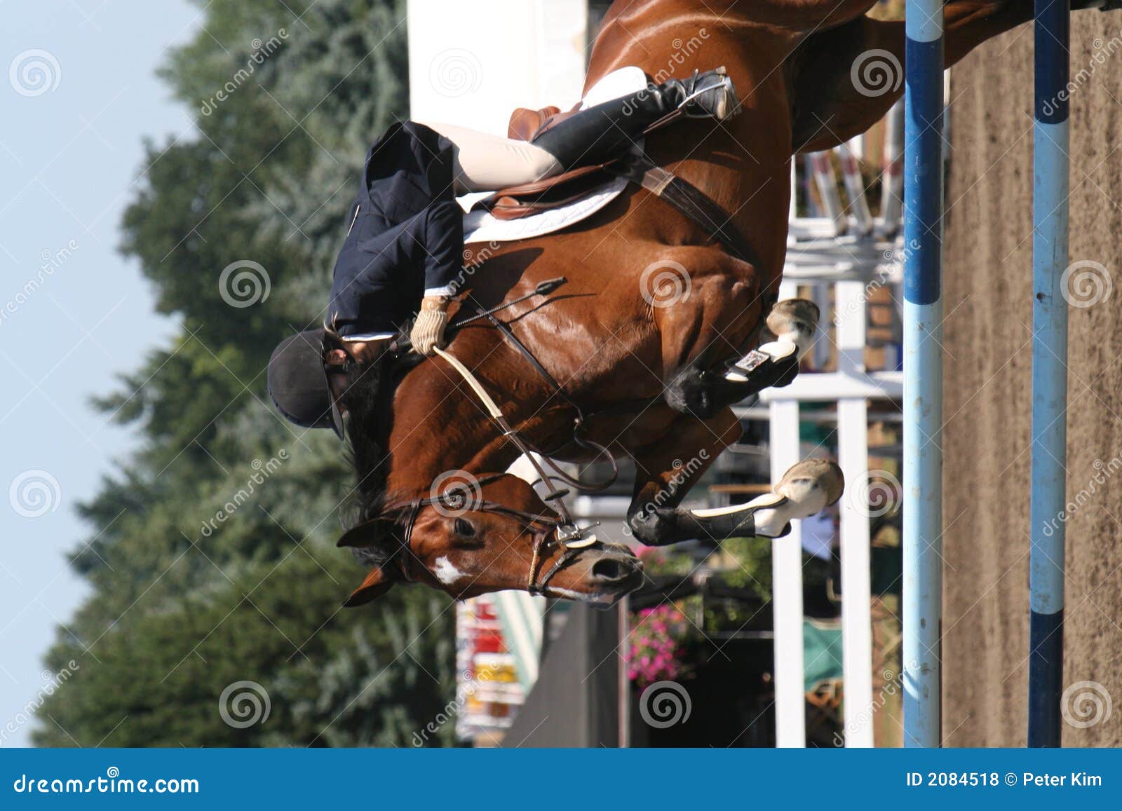 219 Oxer Stock Photos - Free & Royalty-Free Stock Photos from Dreamstime