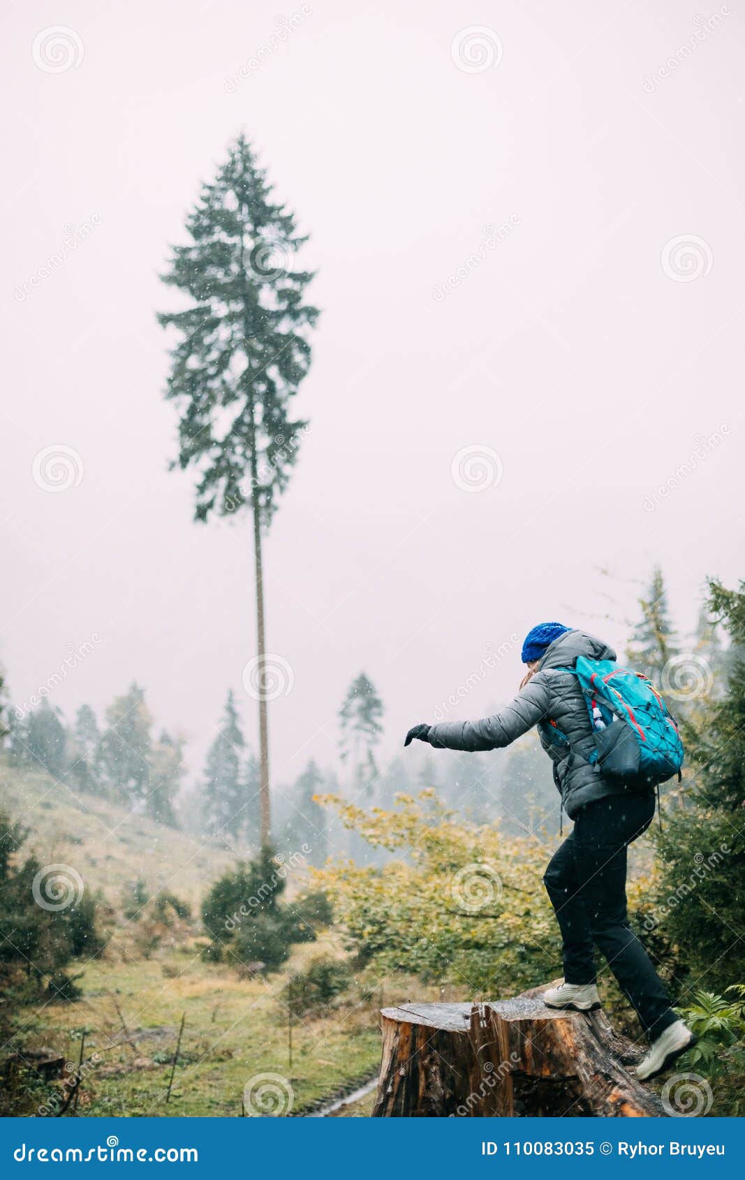 Woman Jumping on Stump in Woods. Back View Stock Image - Image of ...