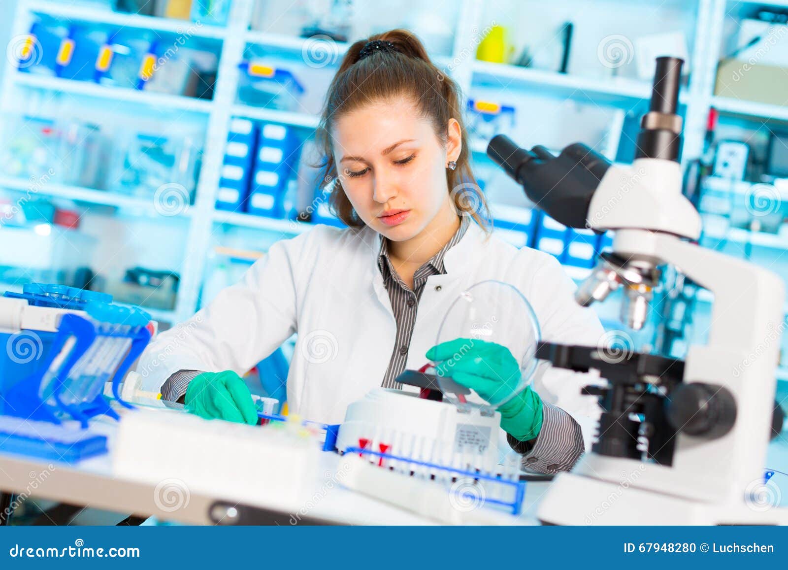 Woman laboratory assistant stock photo. Image of experiment - 67948280