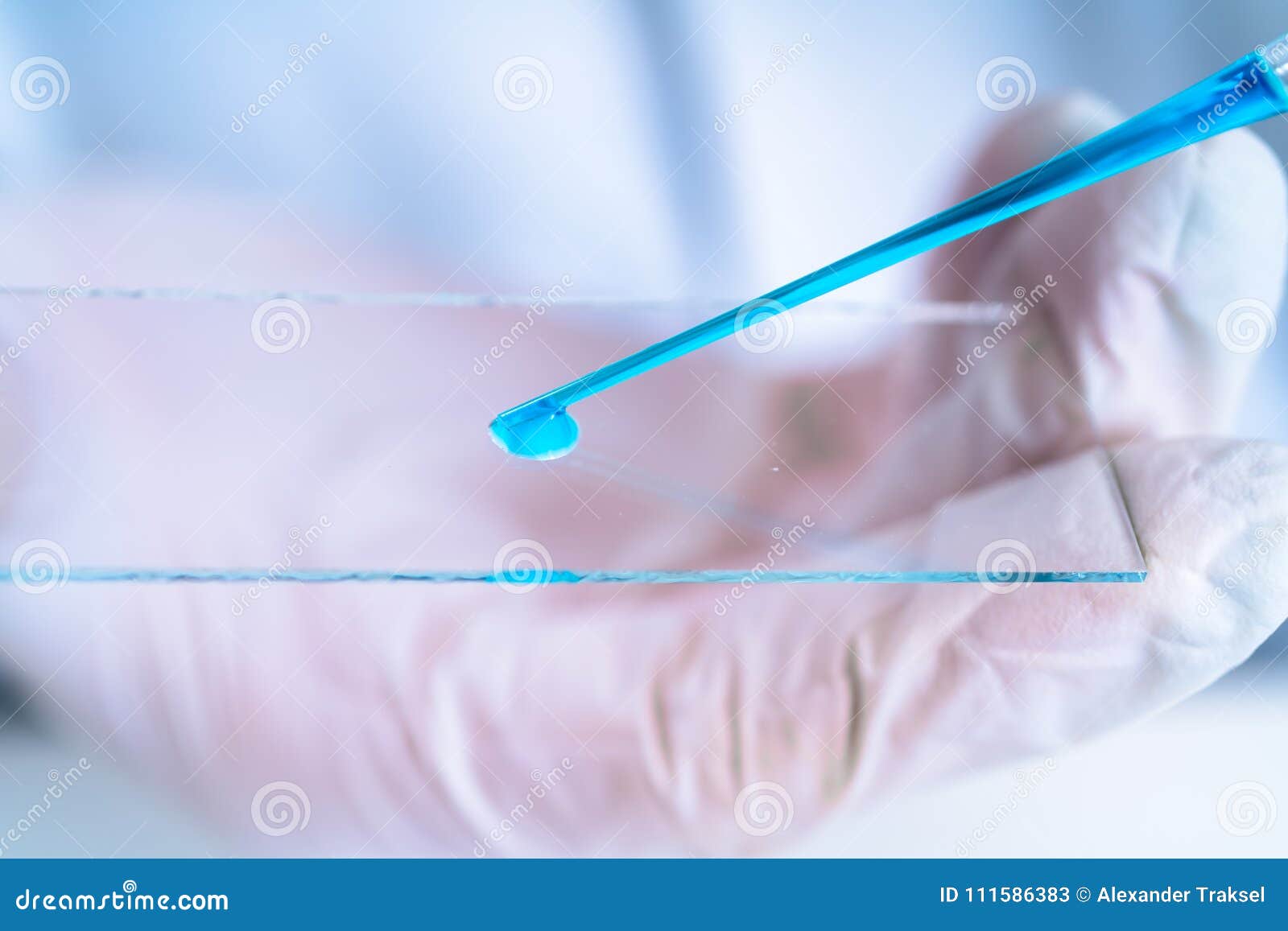 Woman in a Laboratory Microscope with Microscope Slide in Hand. Stock ...