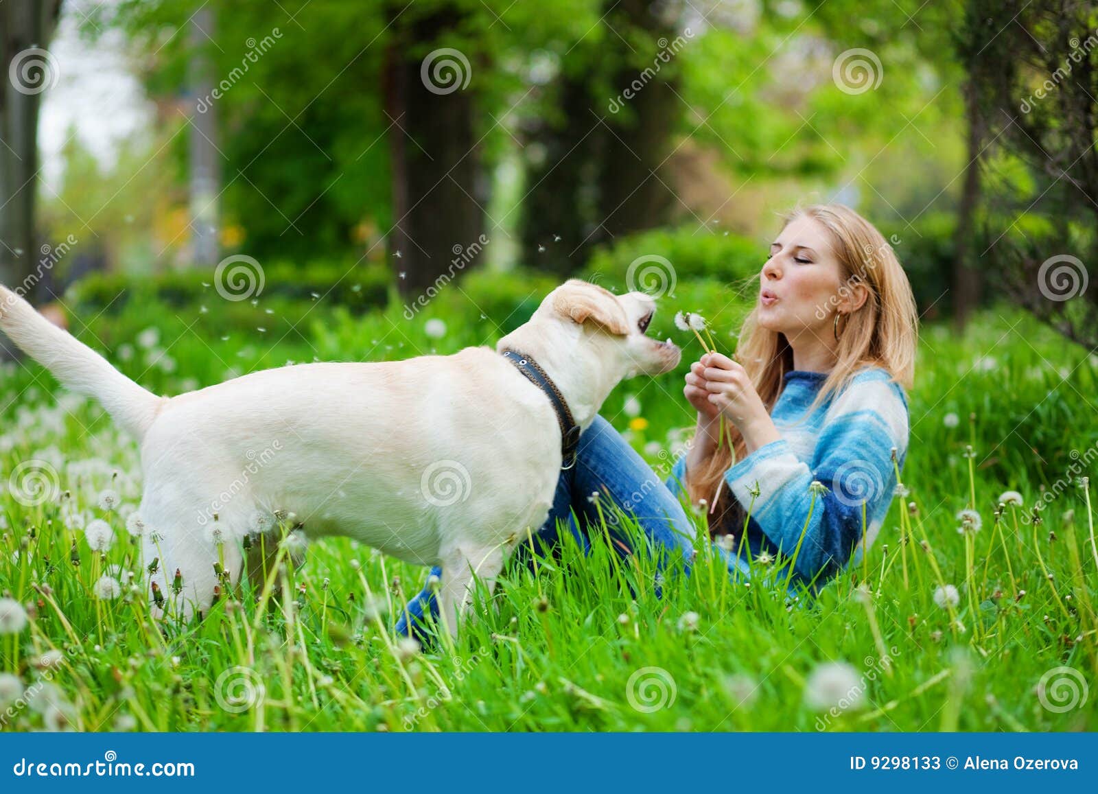 Woman with labrador stock image. Image of fresh, human - 9298133