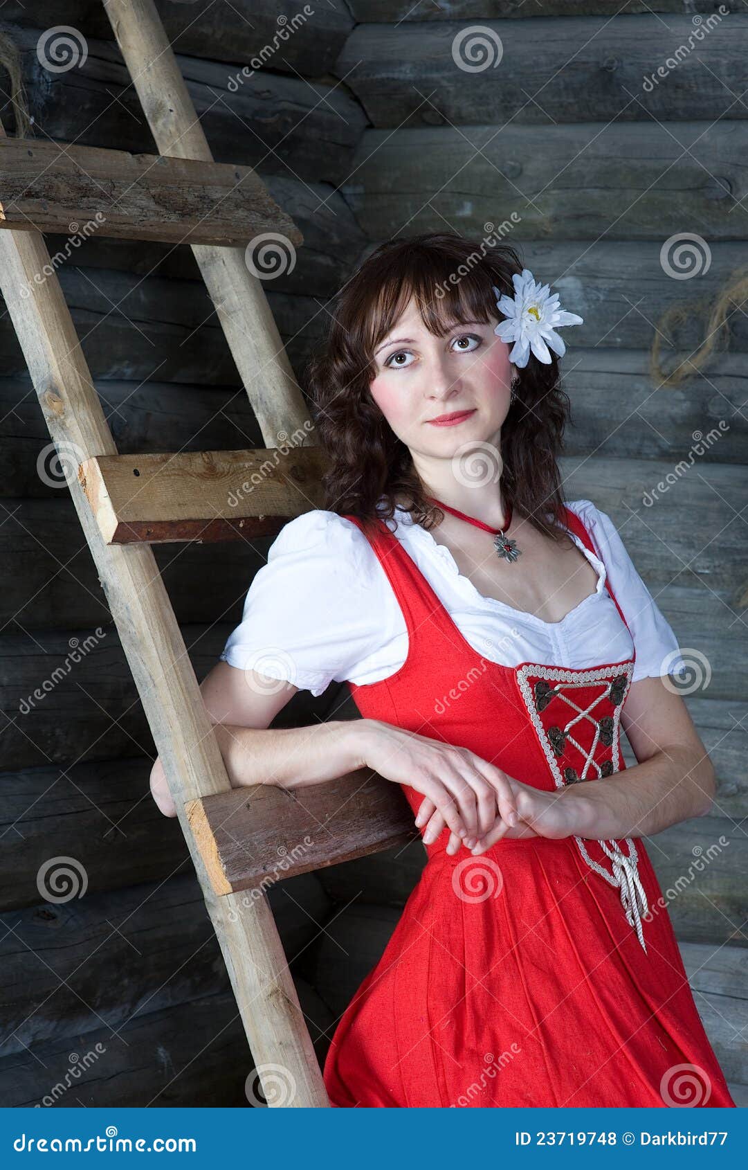 Woman on ladder stock photo. Image of pretty, ladder - 23719748