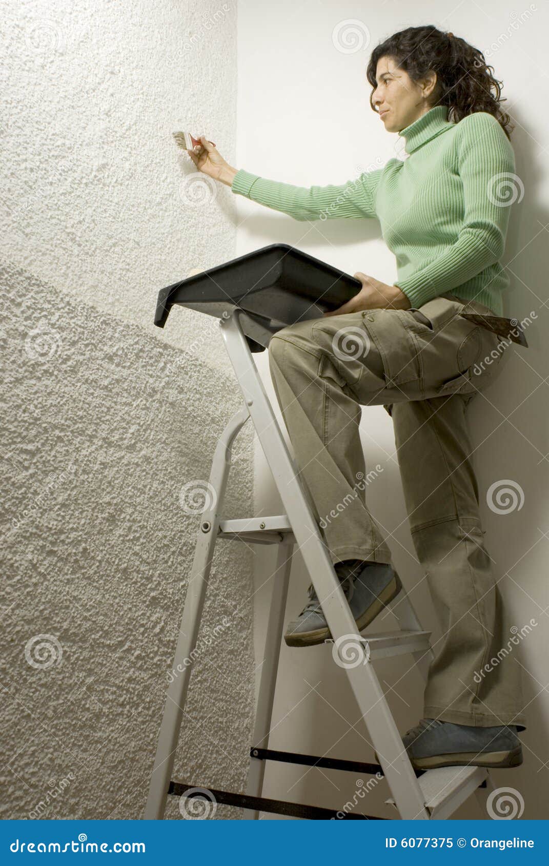 Woman on ladder - Vertical stock image. Image of inside - 6077375