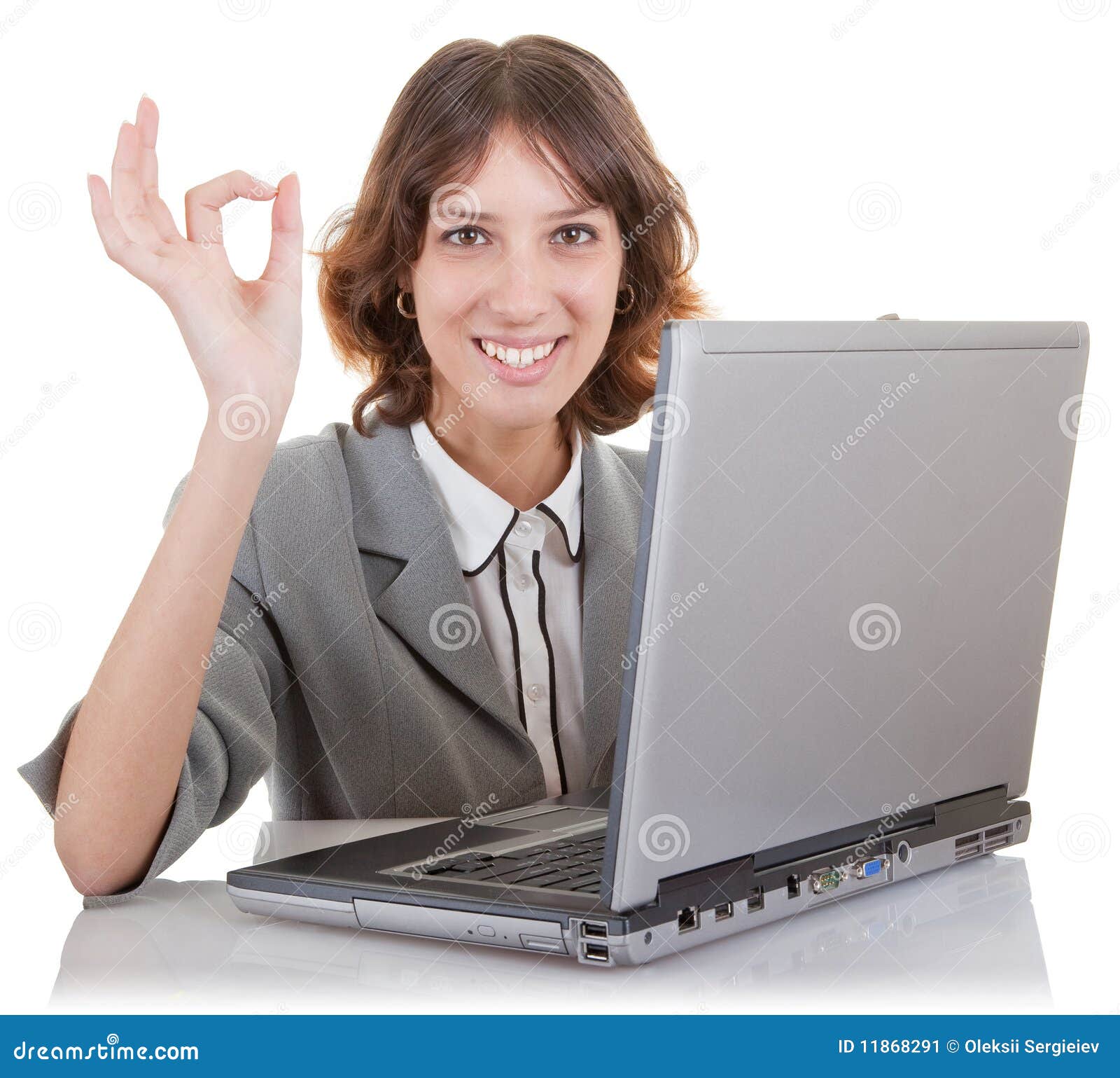 Woman and laptop stock image. Image of businesswoman - 11868291
