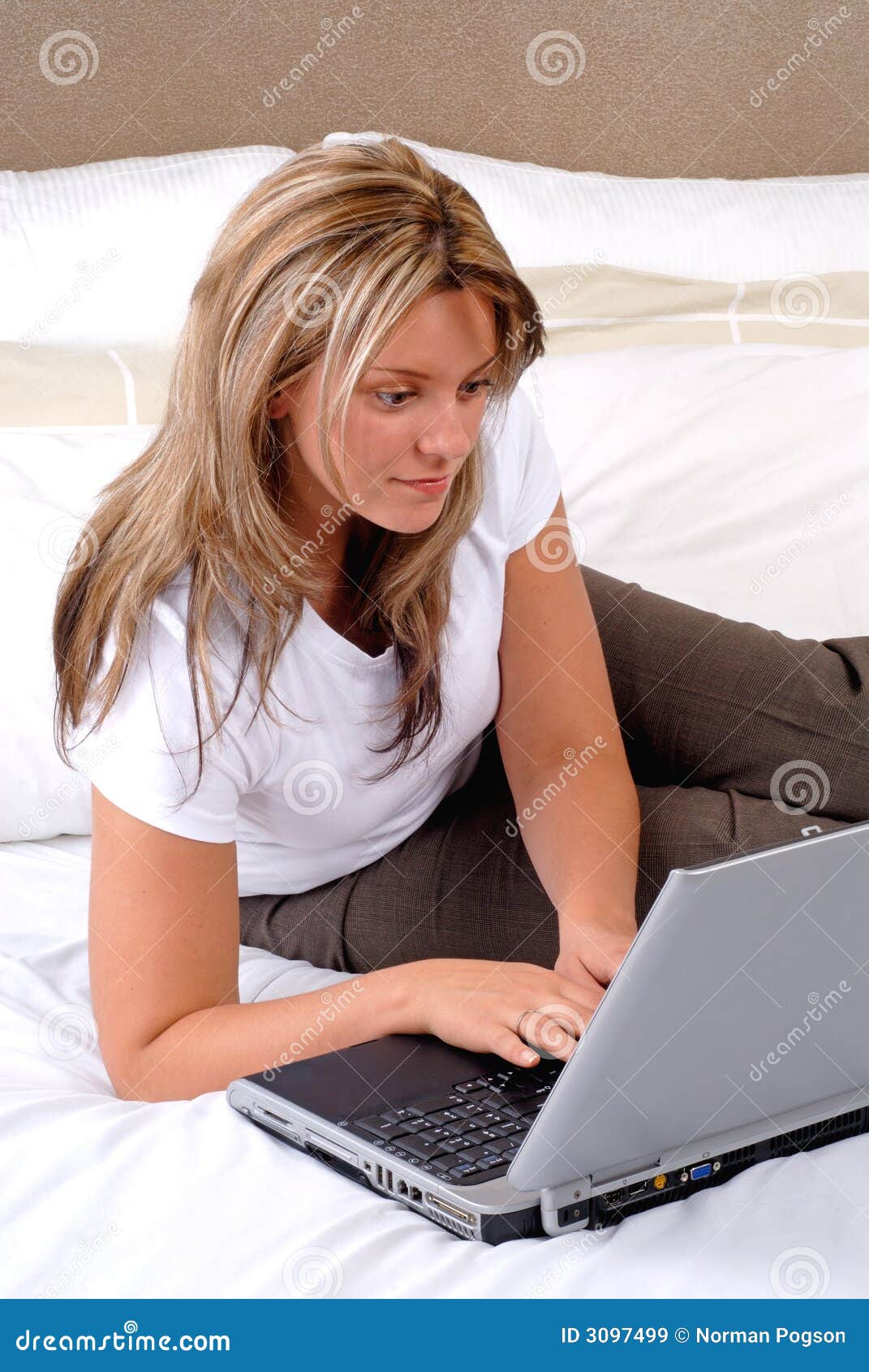 Woman and Laptop stock image. Image of adult, beautiful - 3097499