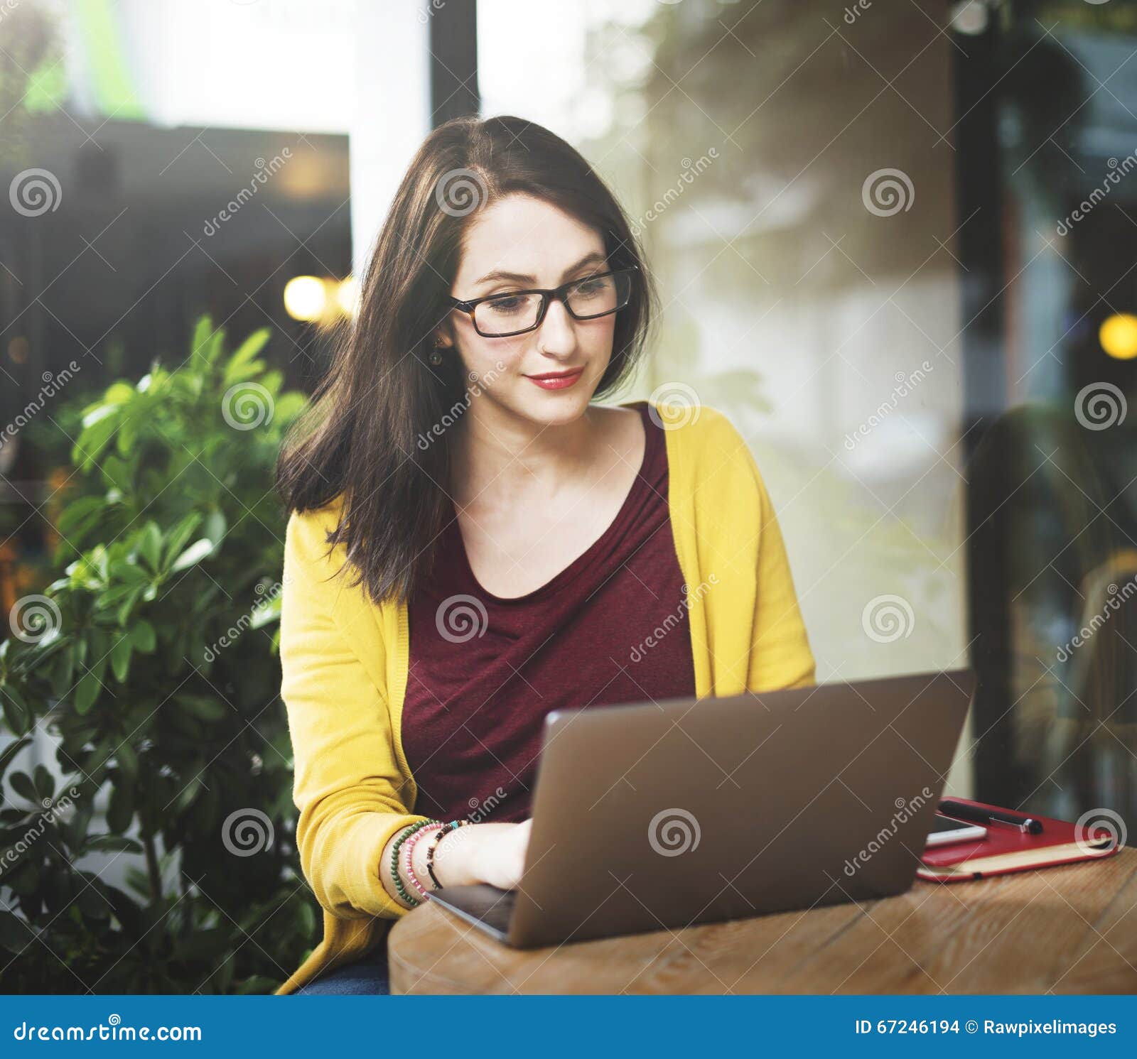 Woman Laptop Browsing Searching Social Networking Technology Con Stock ...