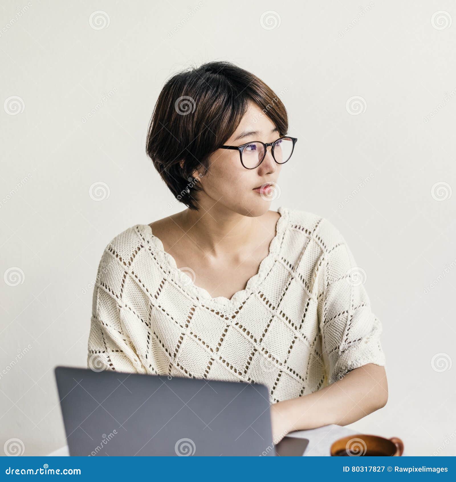 Woman Laptop Browsing Searching Social Networking Technology Con Stock ...