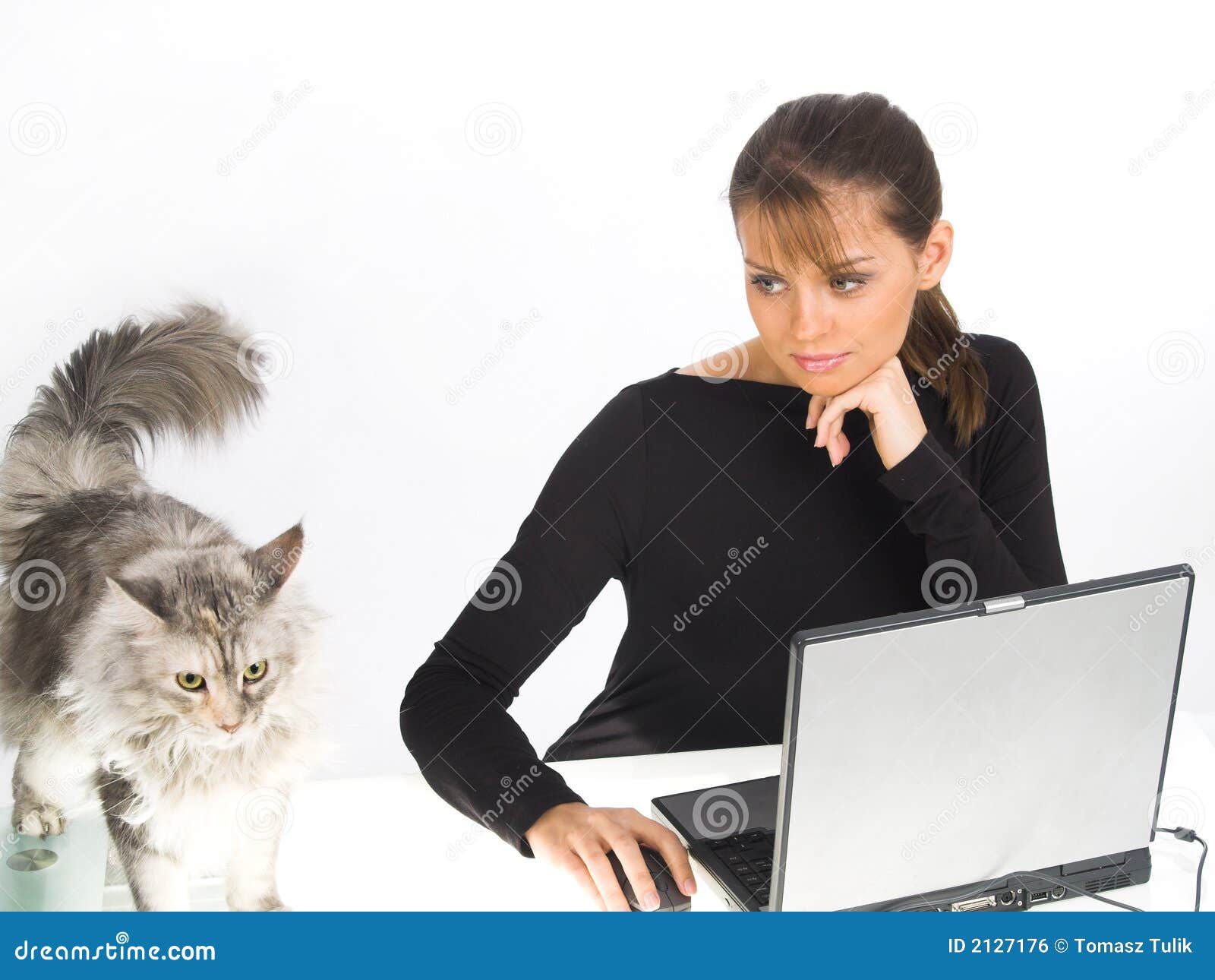 Woman with laptop and cat stock photo. Image of female - 2127176