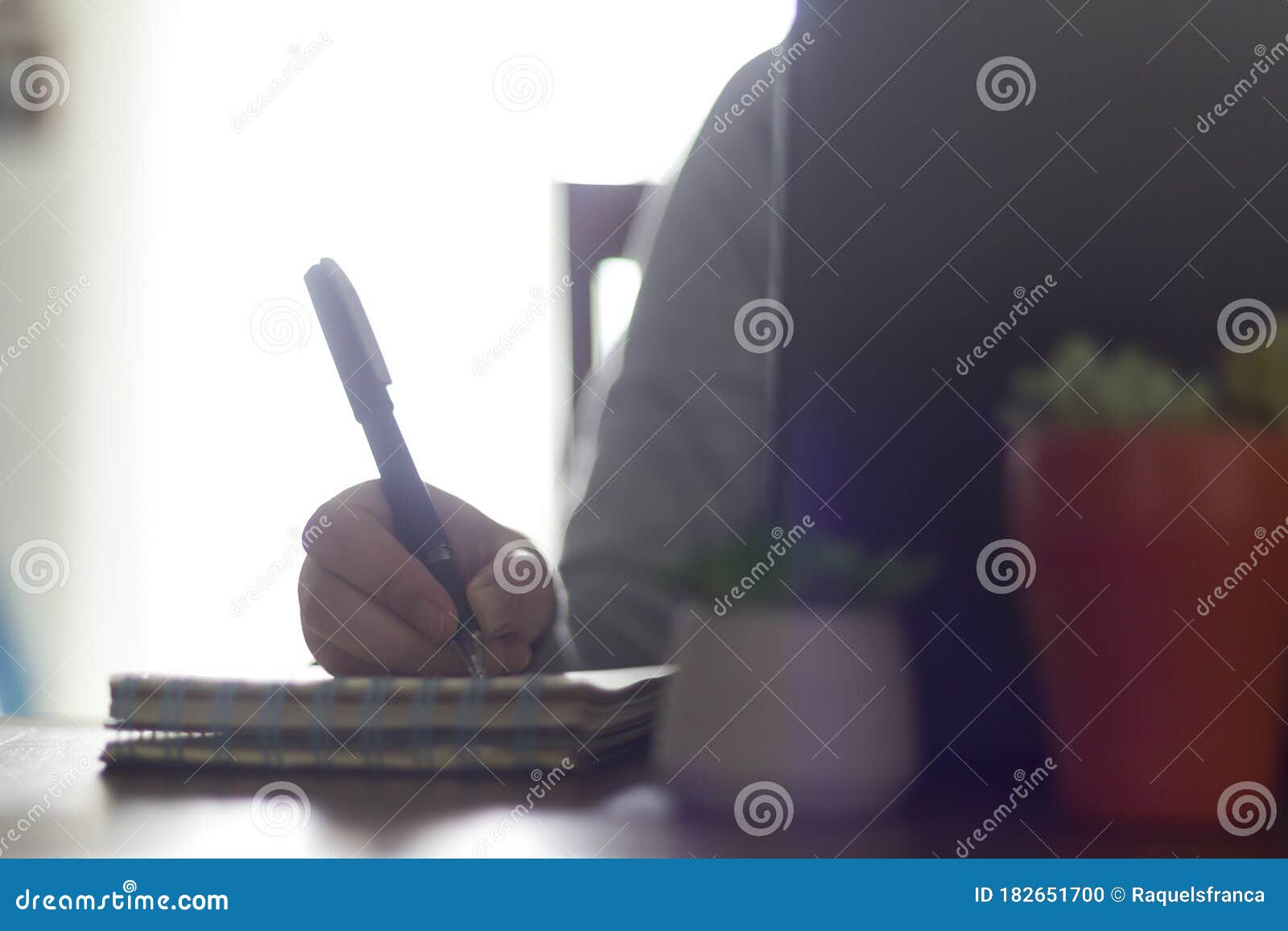 Woman with Laptop Computer Taking Notes Stock Photo - Image of ...