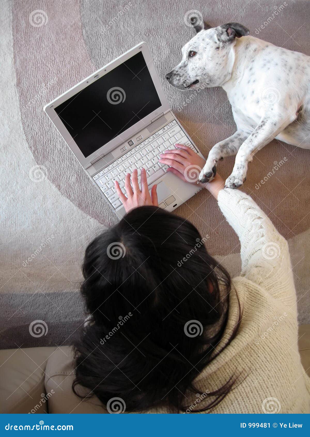 Woman laptop dog stock image. Image of comfortable, keyboard - 999481