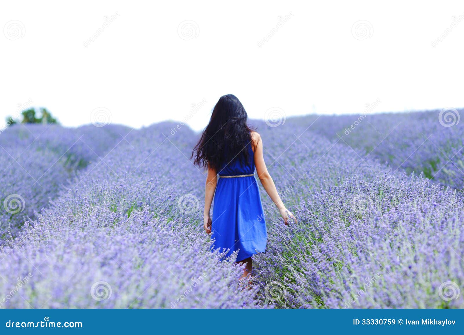 Woman on a lavender field stock image. Image of lifestyles - 33330759