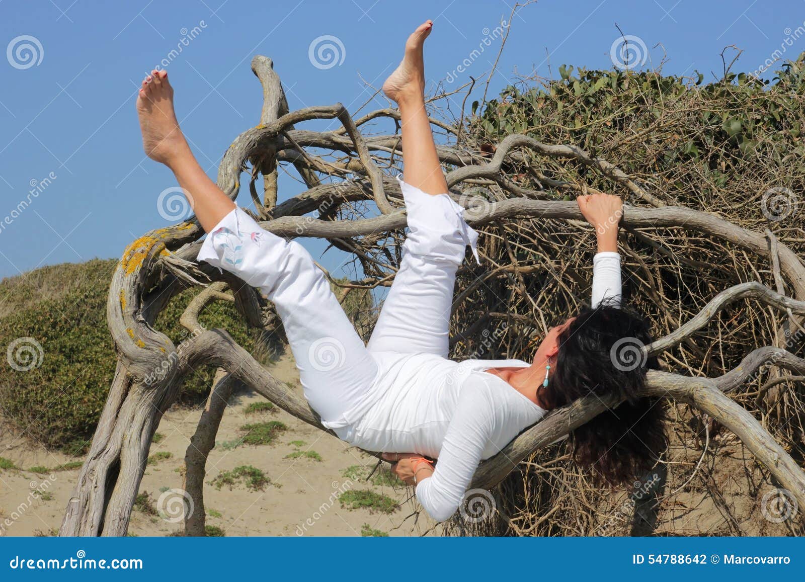 Woman laying on a tree stock photo. Image of laying, branch - 54788642