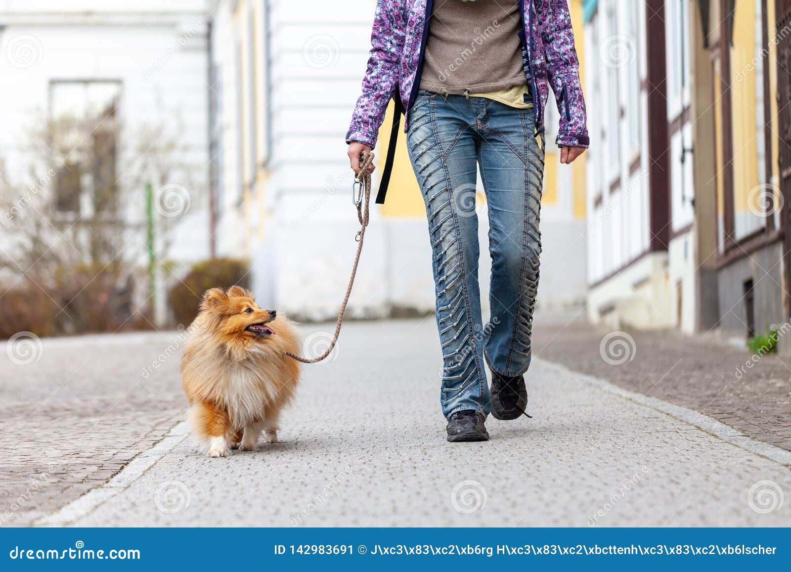 Woman Leads Her Dog on a Leash Stock Image - Image of leash, obedient ...