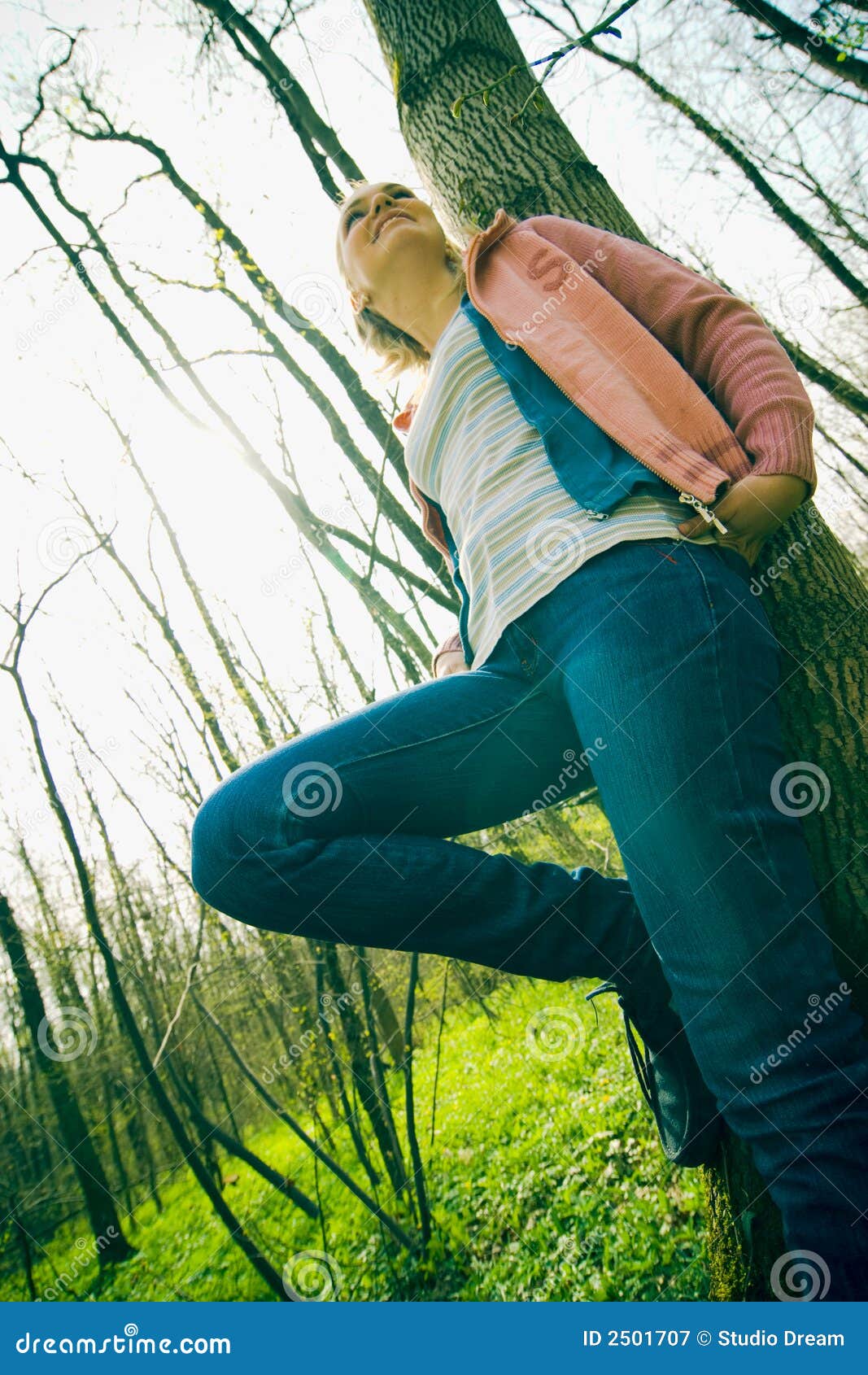 Woman leaning stock image. Image of person, forest, leisure - 2501707