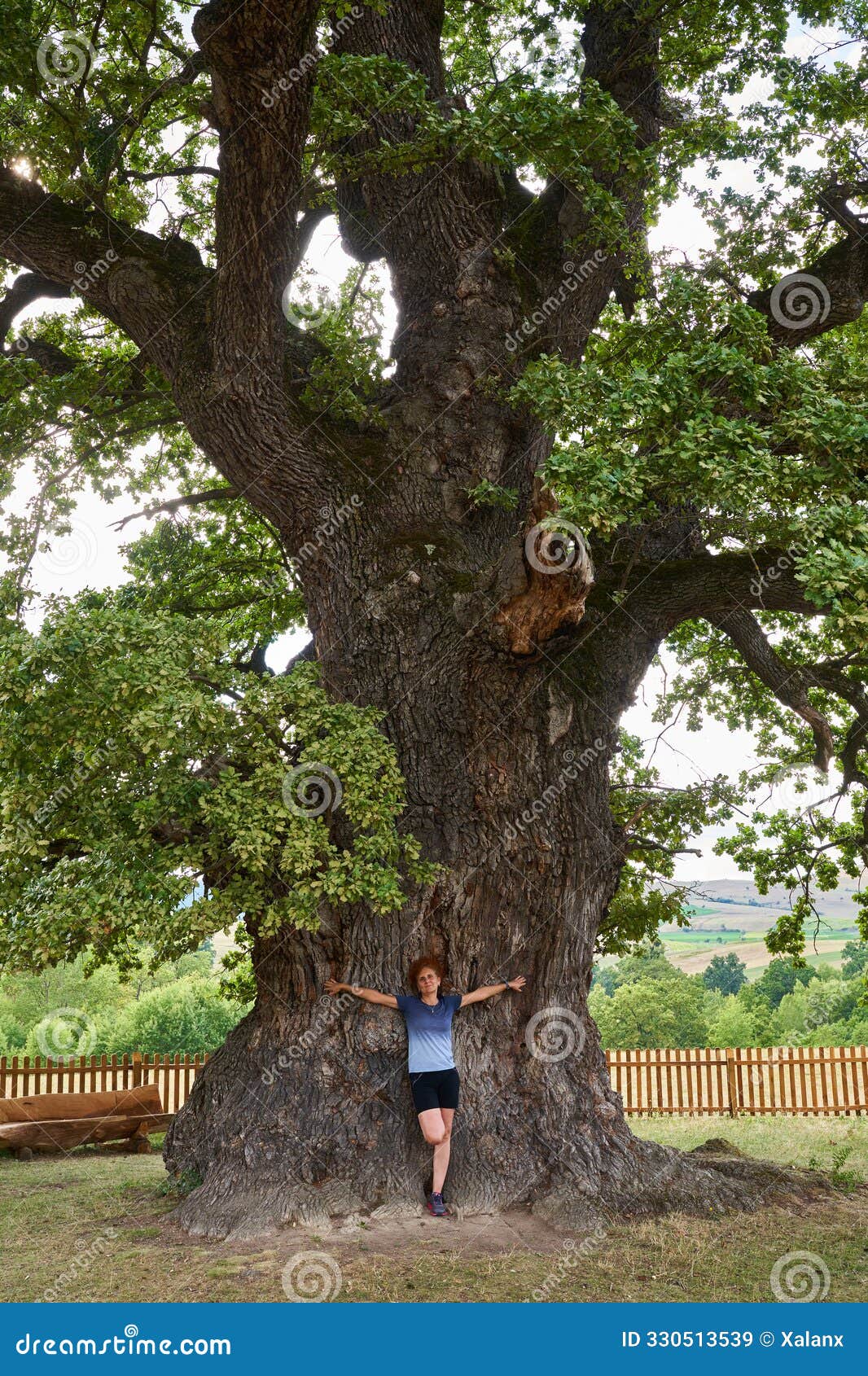 Woman Leaning Against a Centennial Tree Stock Image - Image of nature, leaves: 330513539