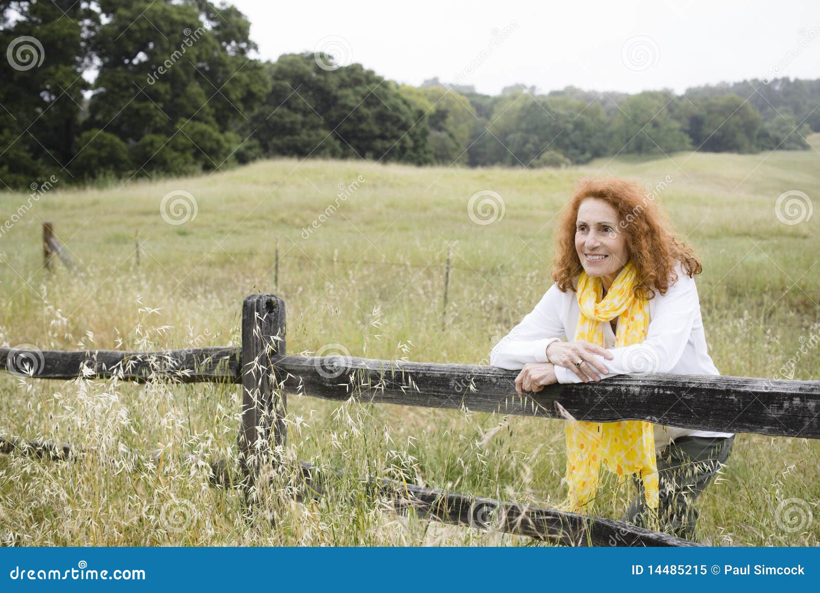 Woman Leaning on Fence stock image. Image of independence - 14485215