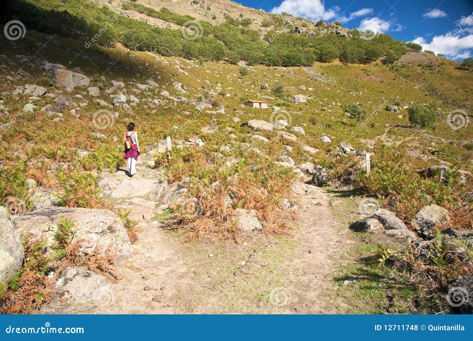 Woman at left path stock photo. Image of freedom, back - 12711748