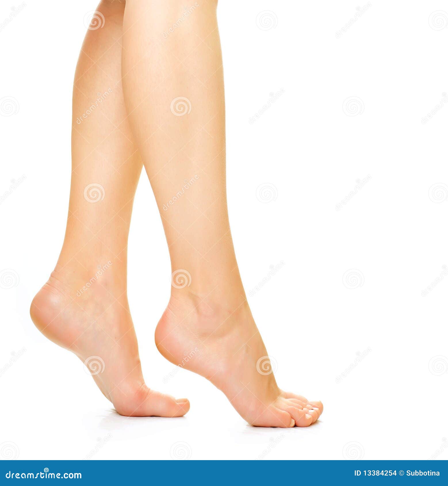 Woman Legs stock photo. Image of long, lady, hygiene - 13384254