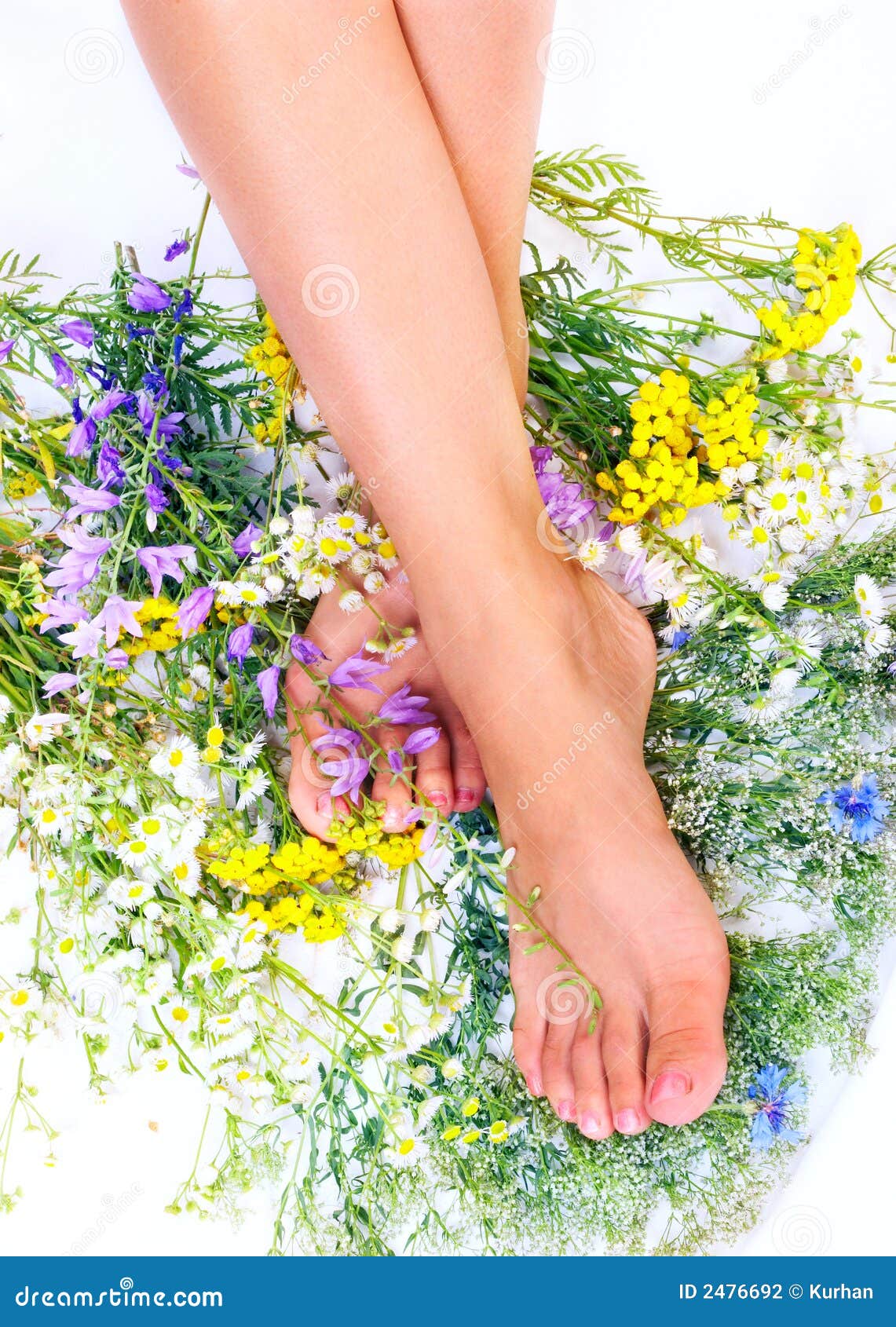 Woman legs stock photo. Image of healthy, legs, elegance - 2476692