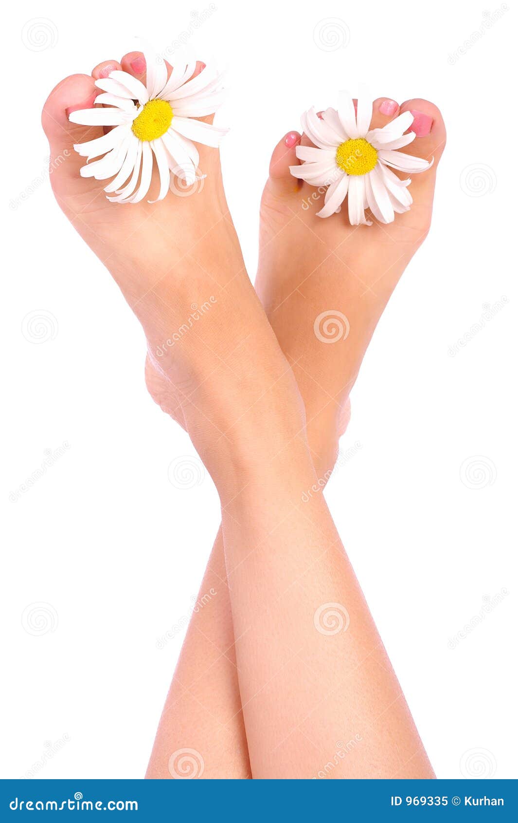 Woman legs stock image. Image of foot, fresh, freshness - 969335