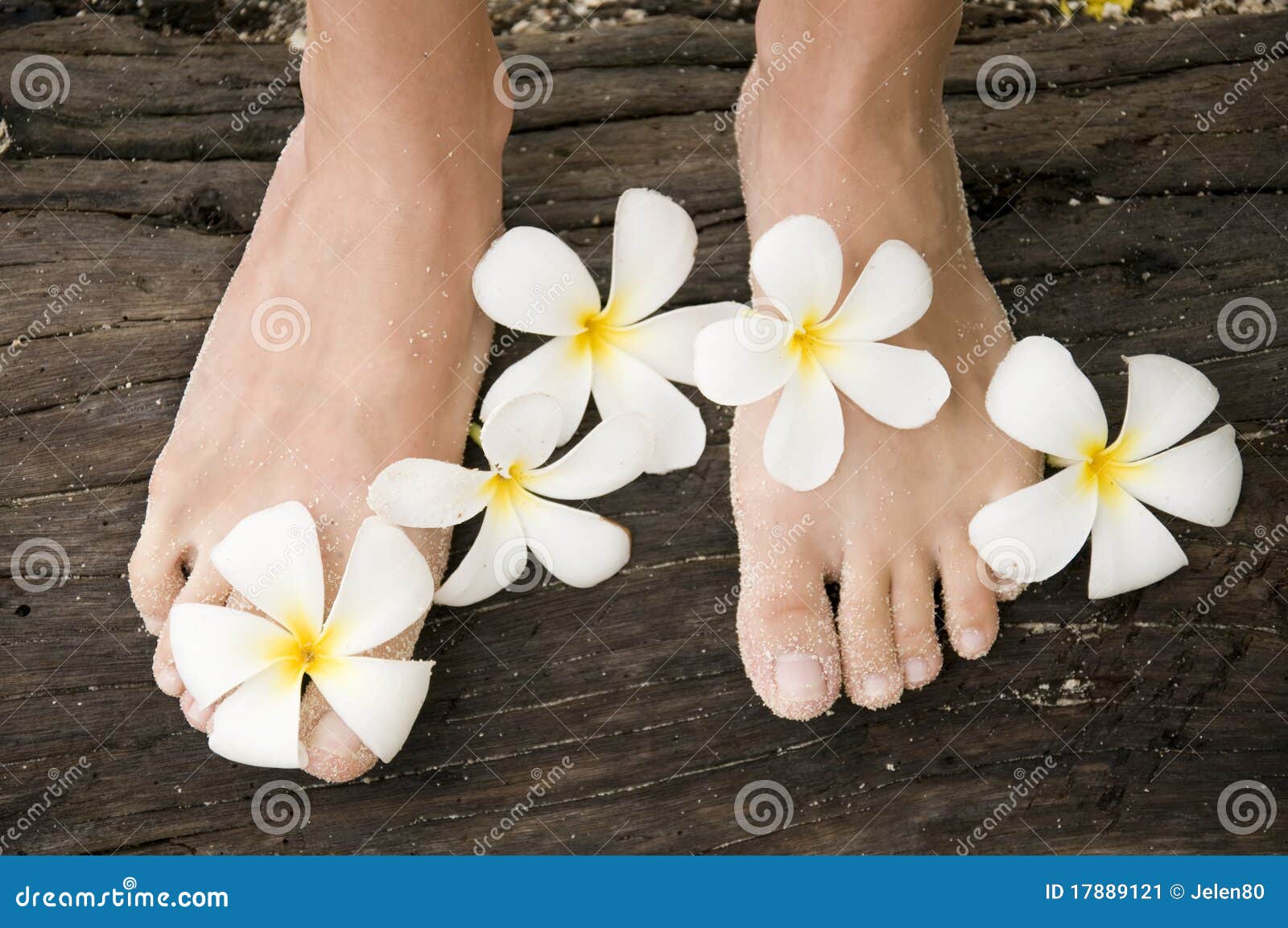 Woman legs with flowers stock image. Image of sensual - 17889121