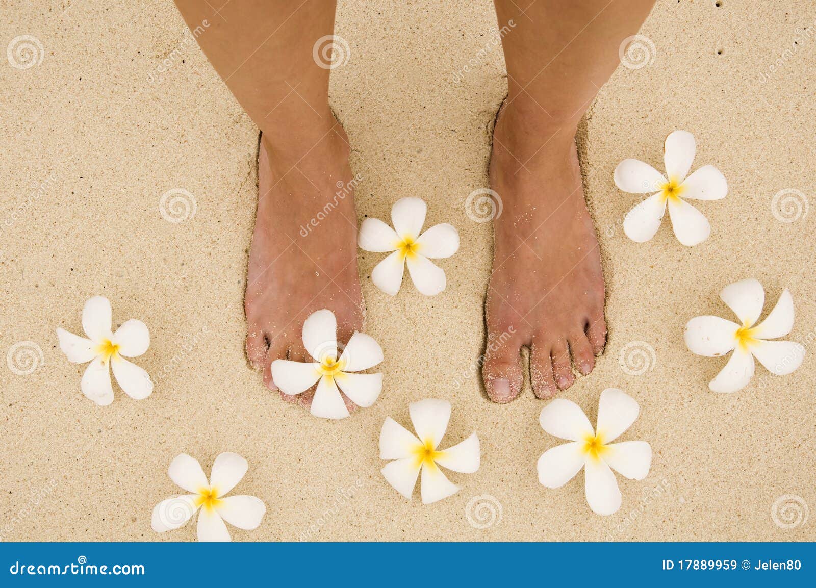 Woman legs with flowers stock image. Image of pedicure - 17889959