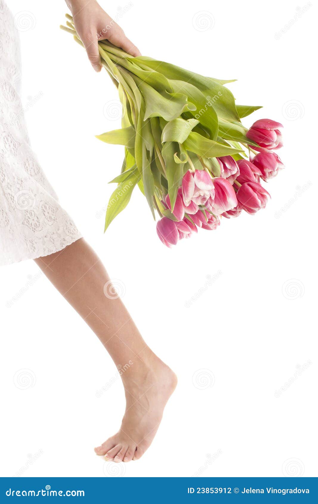 Woman legs and flowers stock photo. Image of beautiful - 23853912