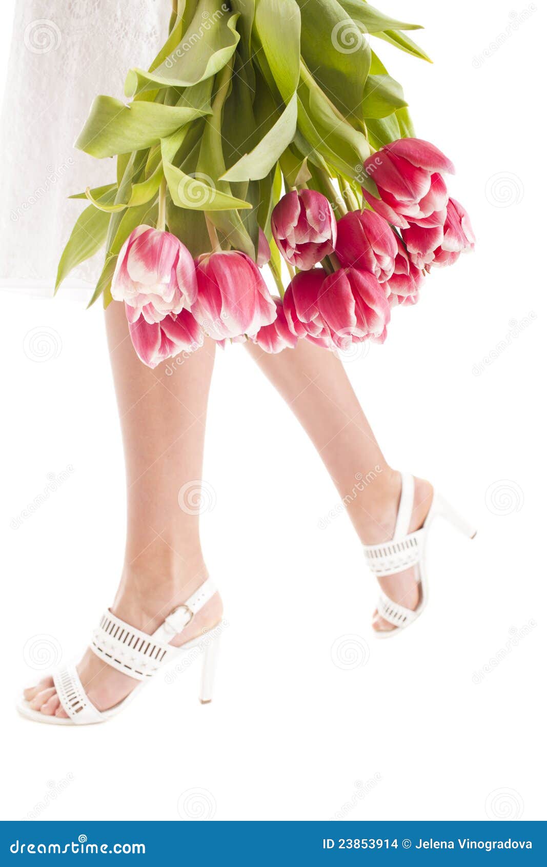 Woman legs and flowers stock photo. Image of flash, gift - 23853914