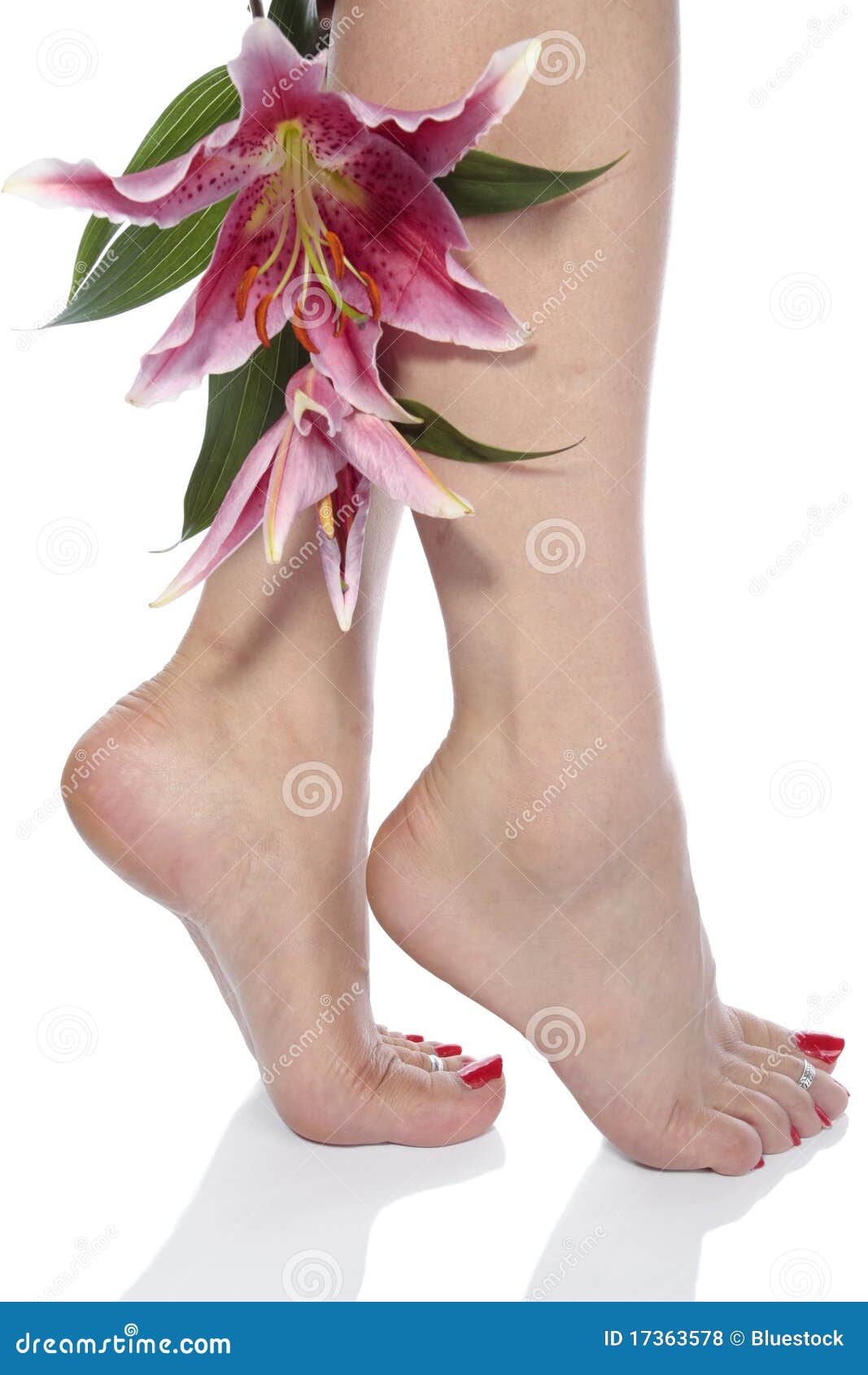 Woman Legs and Flowers Over White Background Stock Photo - Image of ...