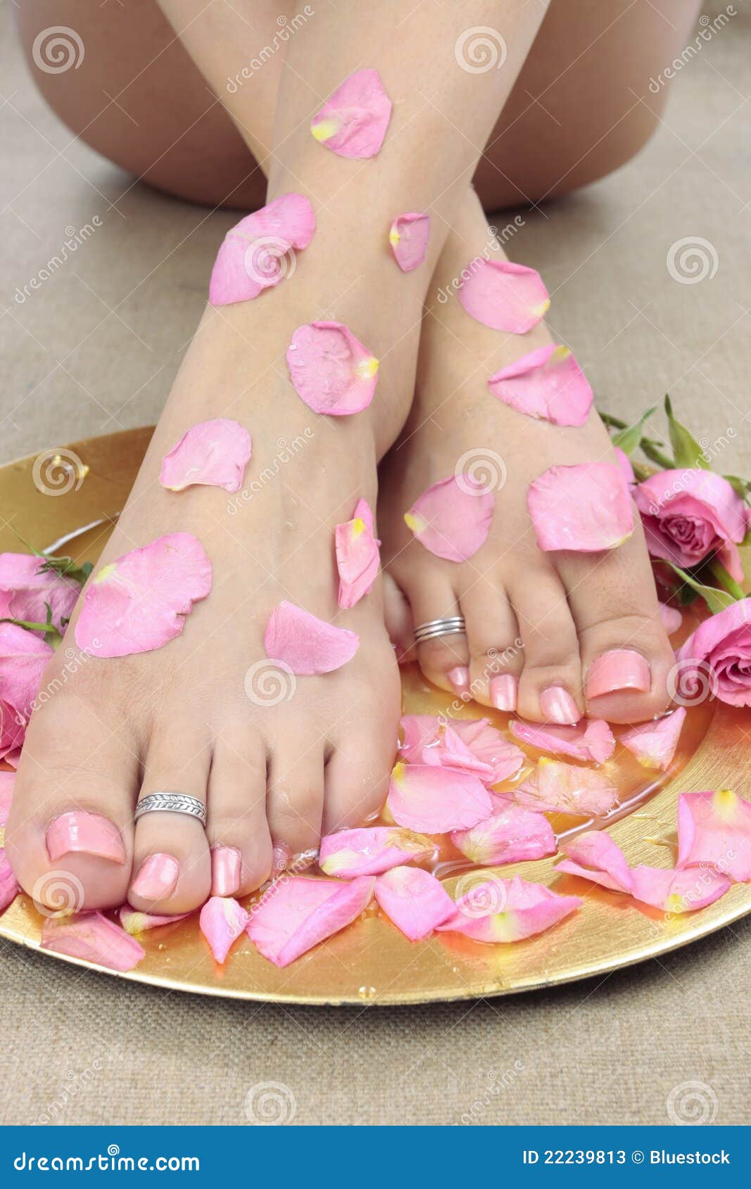 Woman Legs and Flowers Over White Background Stock Image - Image of ...