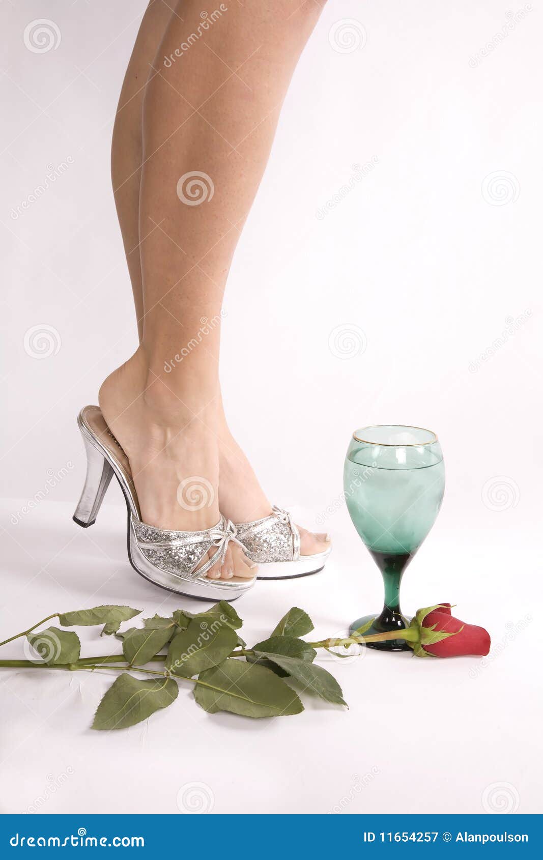 Woman legs glass and rose stock image. Image of female - 11654257