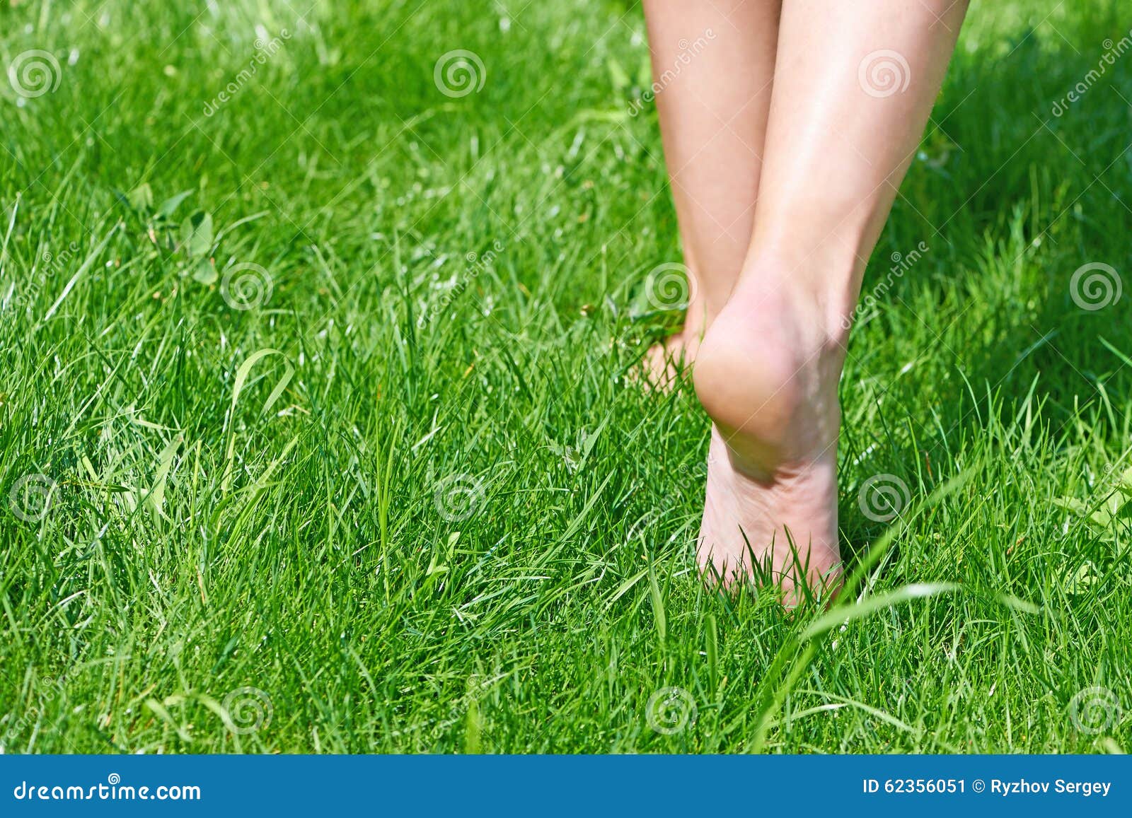 Woman legs on green grass stock image. Image of ecology - 62356051