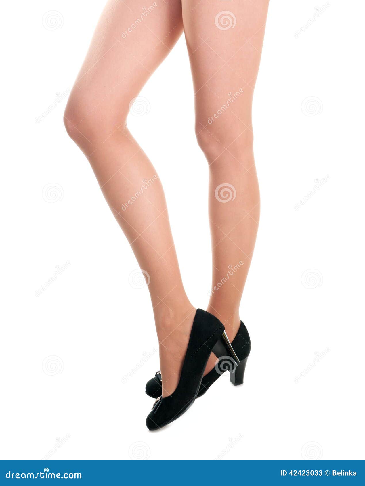 Woman Legs Isolated on the White Background Stock Image - Image of ...