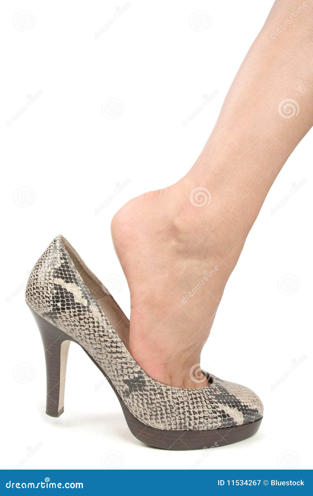 Woman legs with shoes stock image. Image of legs, heels - 11534267