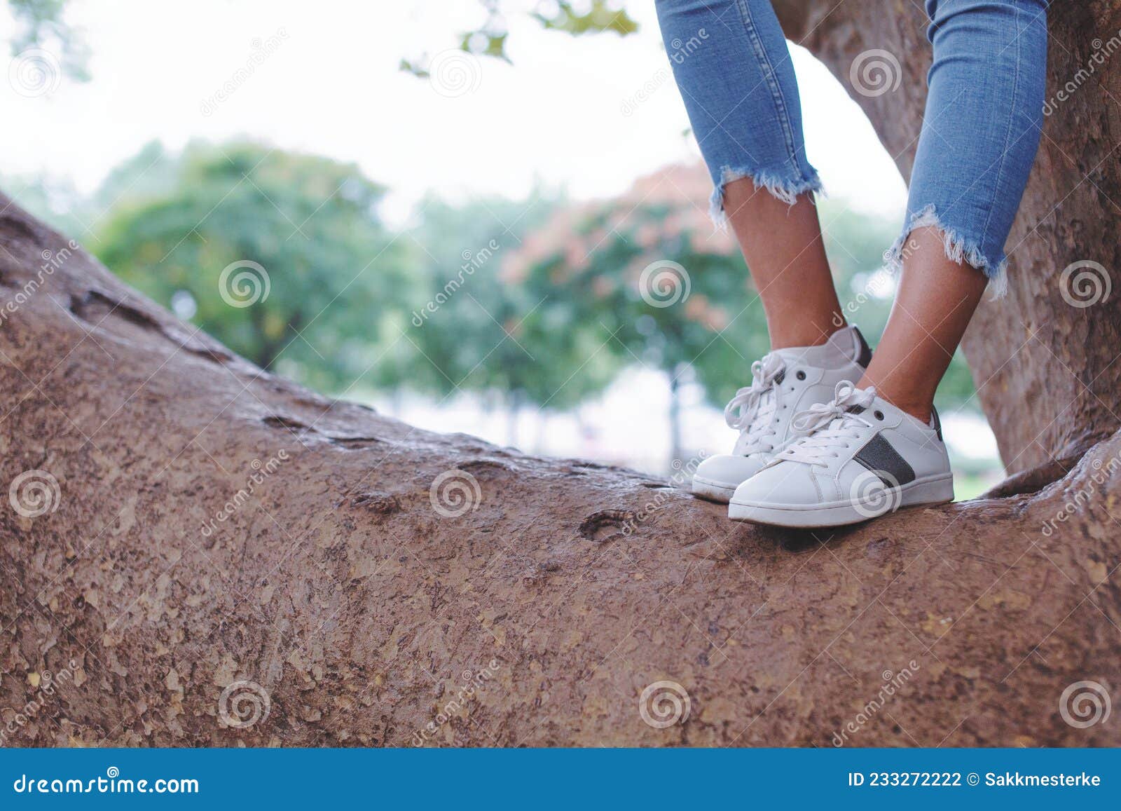 Woman Legs Standing on Tree Branch in Park Horizontal Stock Photo ...