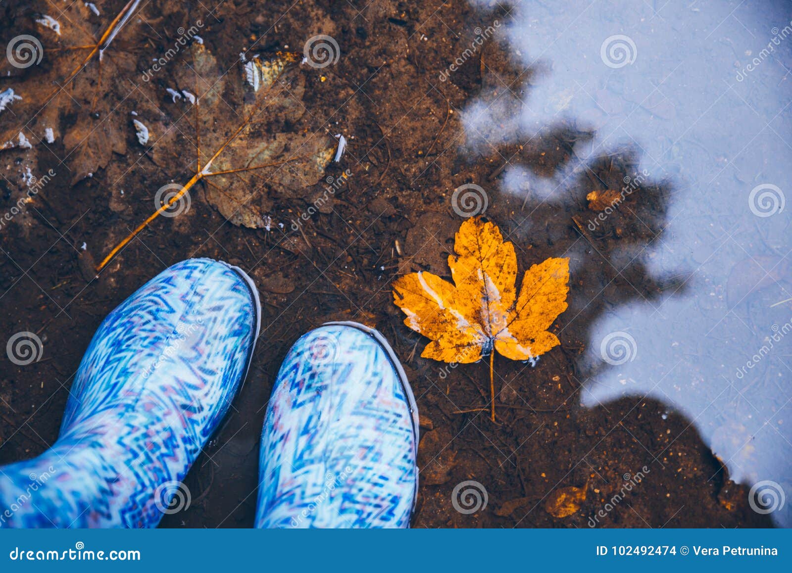 Woman Legs Walking in Puddle Stock Photo - Image of playful, autumn ...