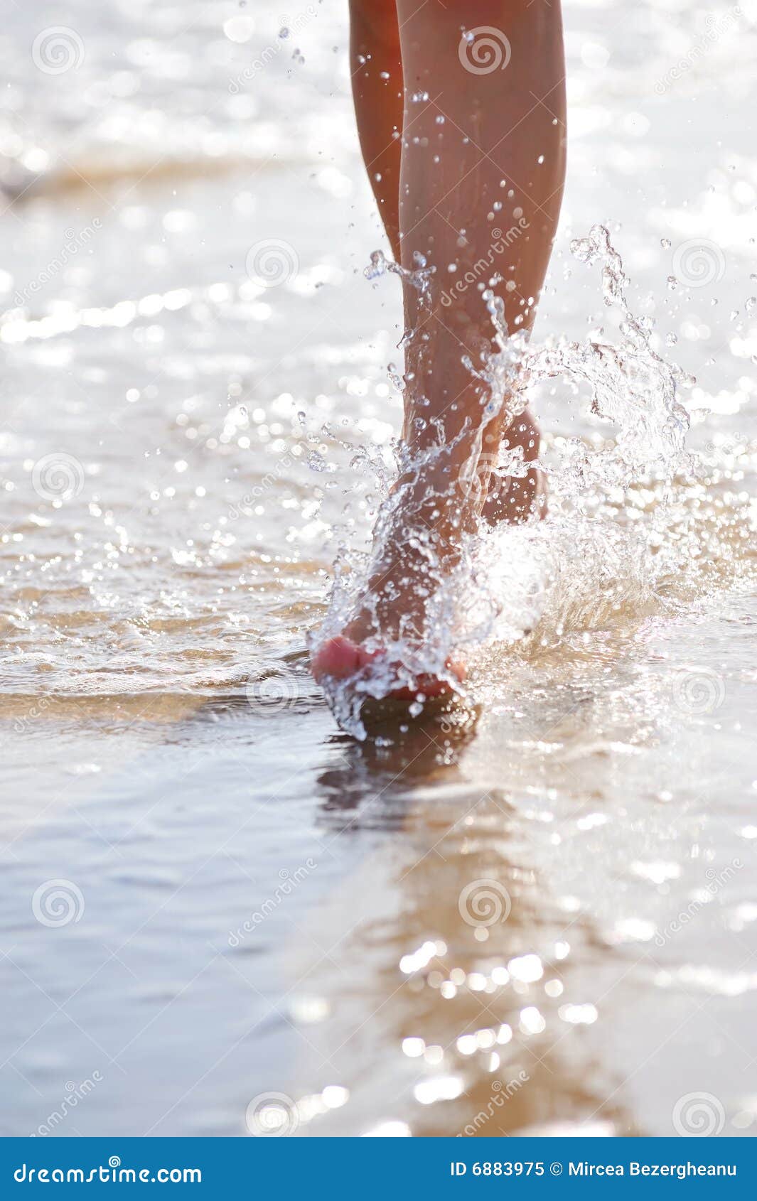Woman legs in the water stock image. Image of girl, body - 6883975