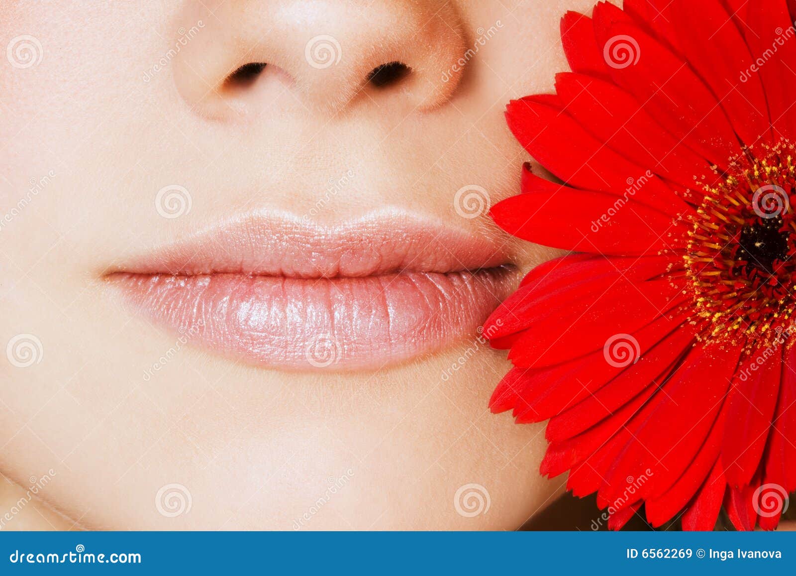 Woman lips stock image. Image of closeup, girl, beautiful - 6562269