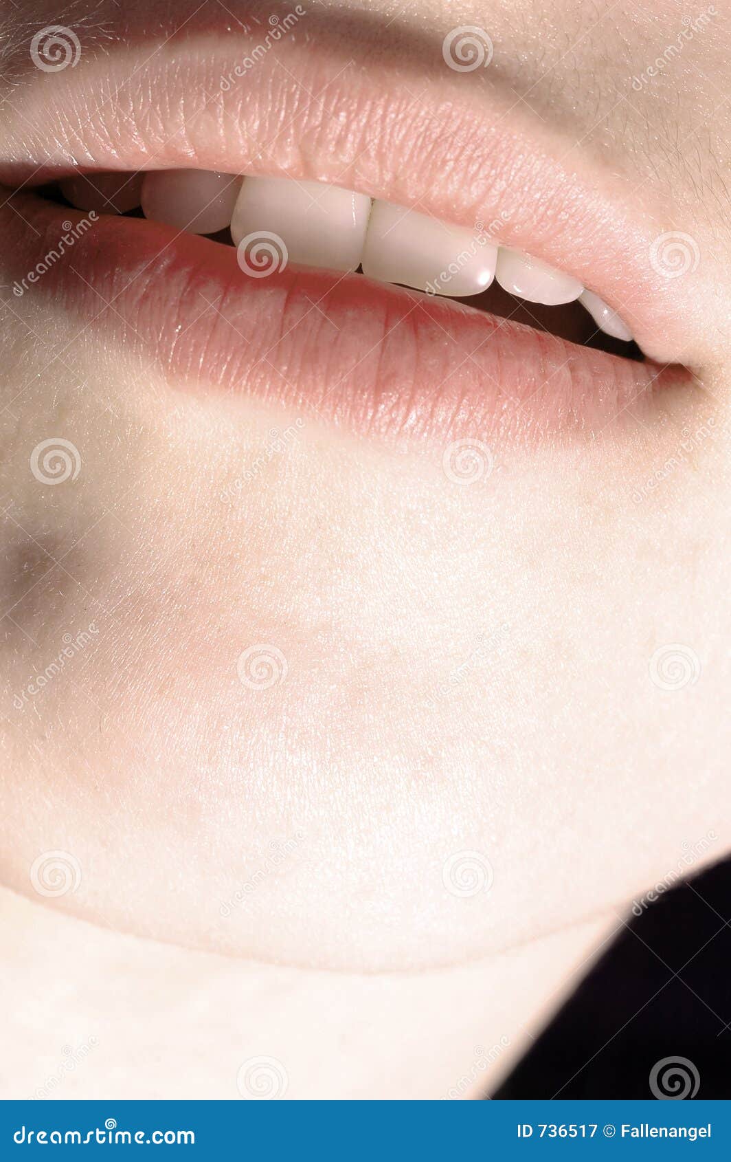 Woman lips stock image. Image of lips, facial, detail, moist - 736517