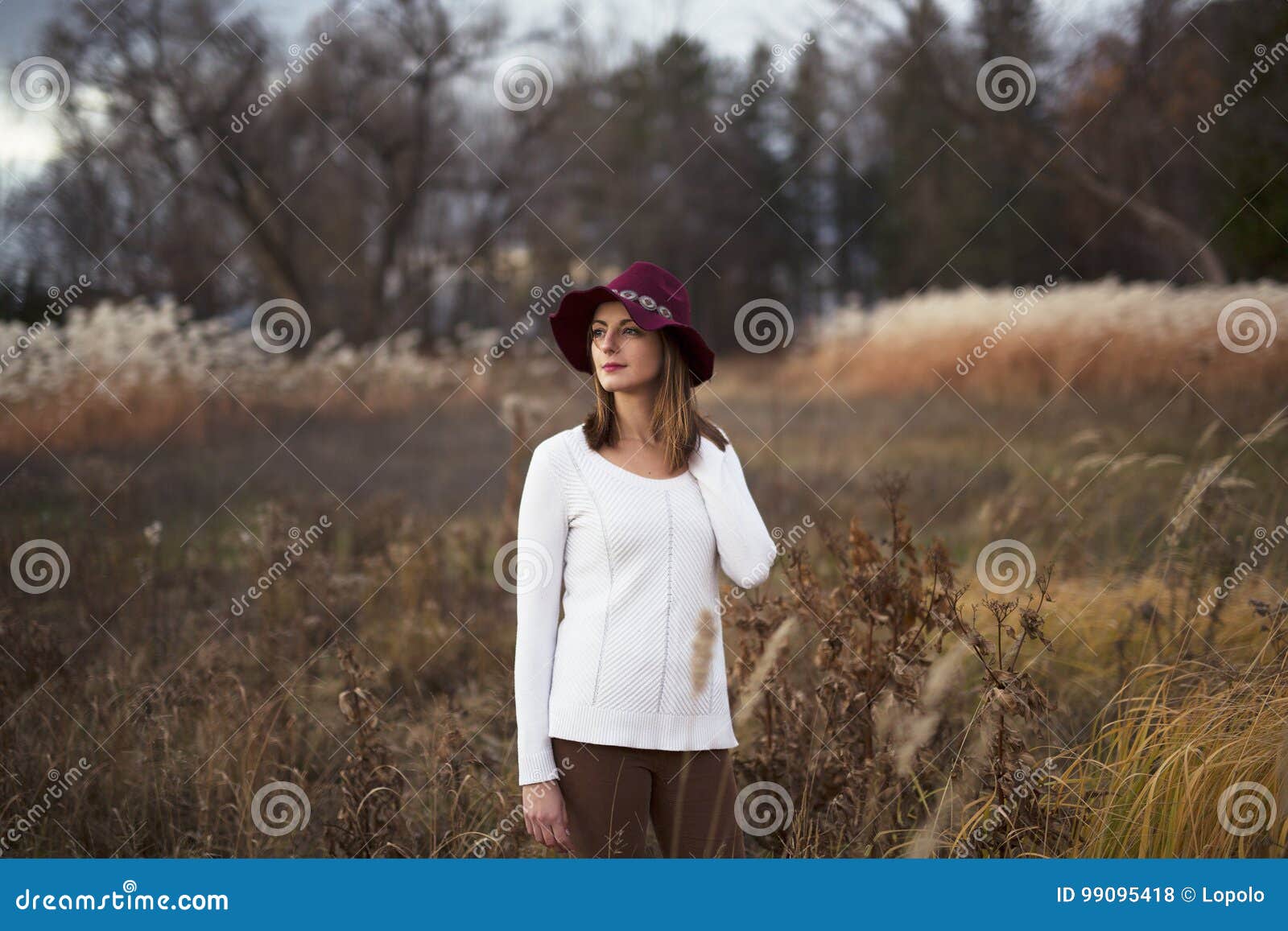 Woman with Long Hair, Fedora Hat Stock Photo - Image of countryside ...
