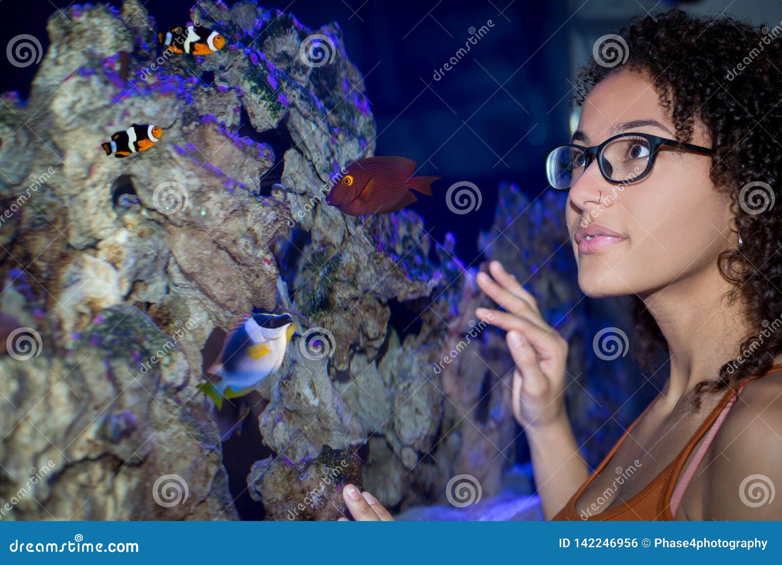 Woman Looking into an Aquarium Stock Photo - Image of kelp, eyed: 142246956