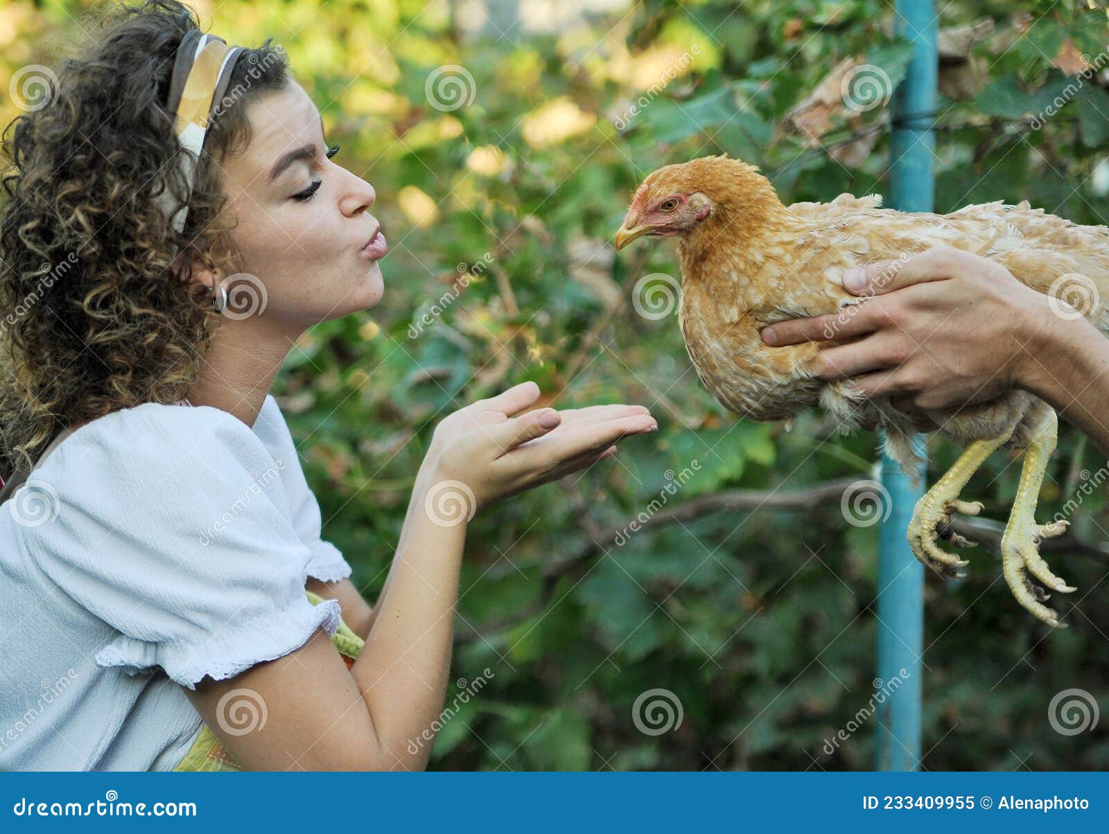 Woman Looking at Chicken Outdoors Stock Image - Image of park, mother ...