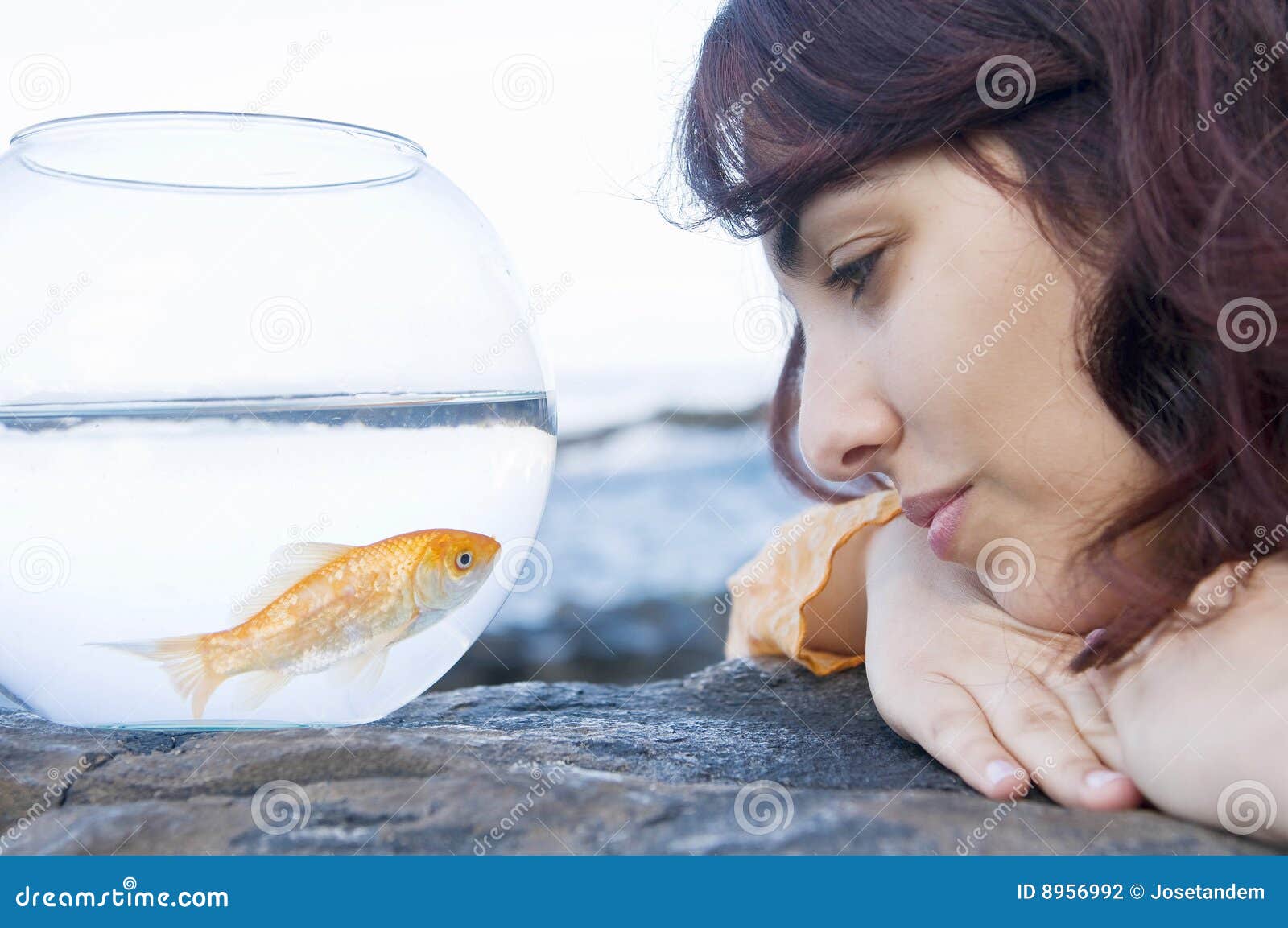 Woman Looking at a Fish in a Bowl Stock Photo - Image of stare, fauna ...