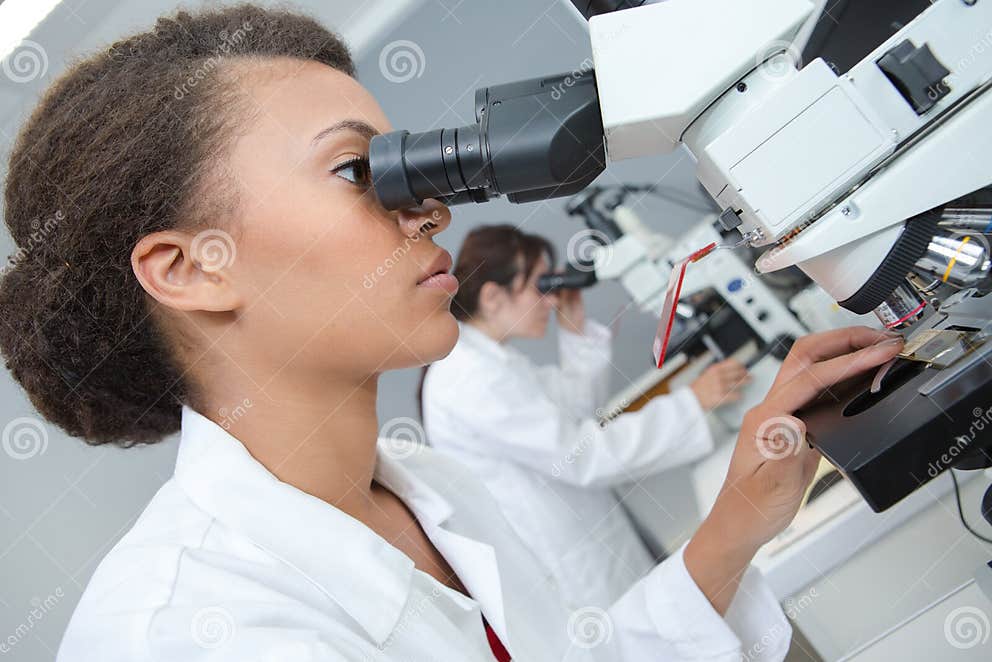 Woman Looking through Microscope in Lab Stock Image - Image of ...