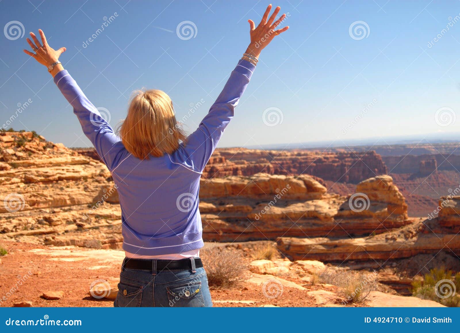 Woman Looking Over A Dramatic Vista Picture. Image: 4924710