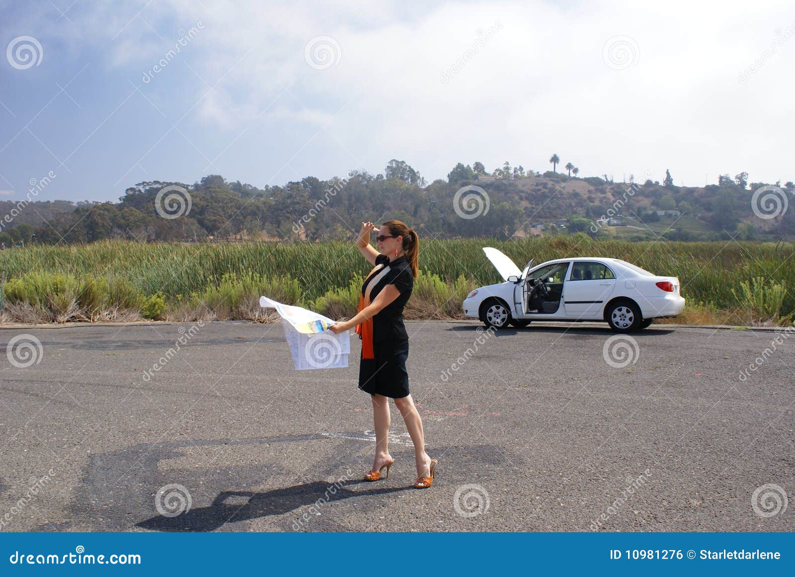 Woman Lost Disabled Car stock photo. Image of disabled - 10981276