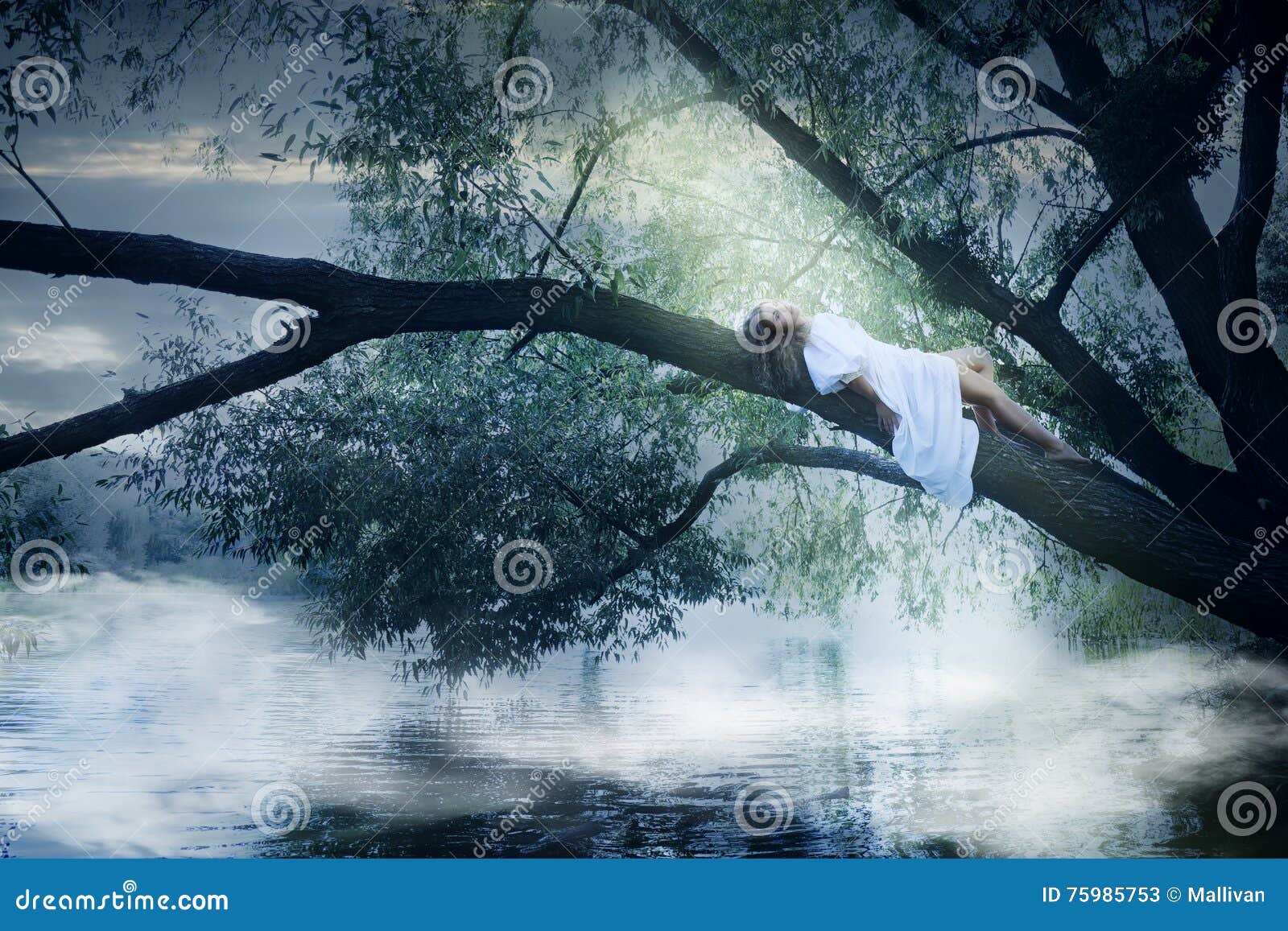 Woman lying on a tree stock image. Image of lying, beauty - 75985753