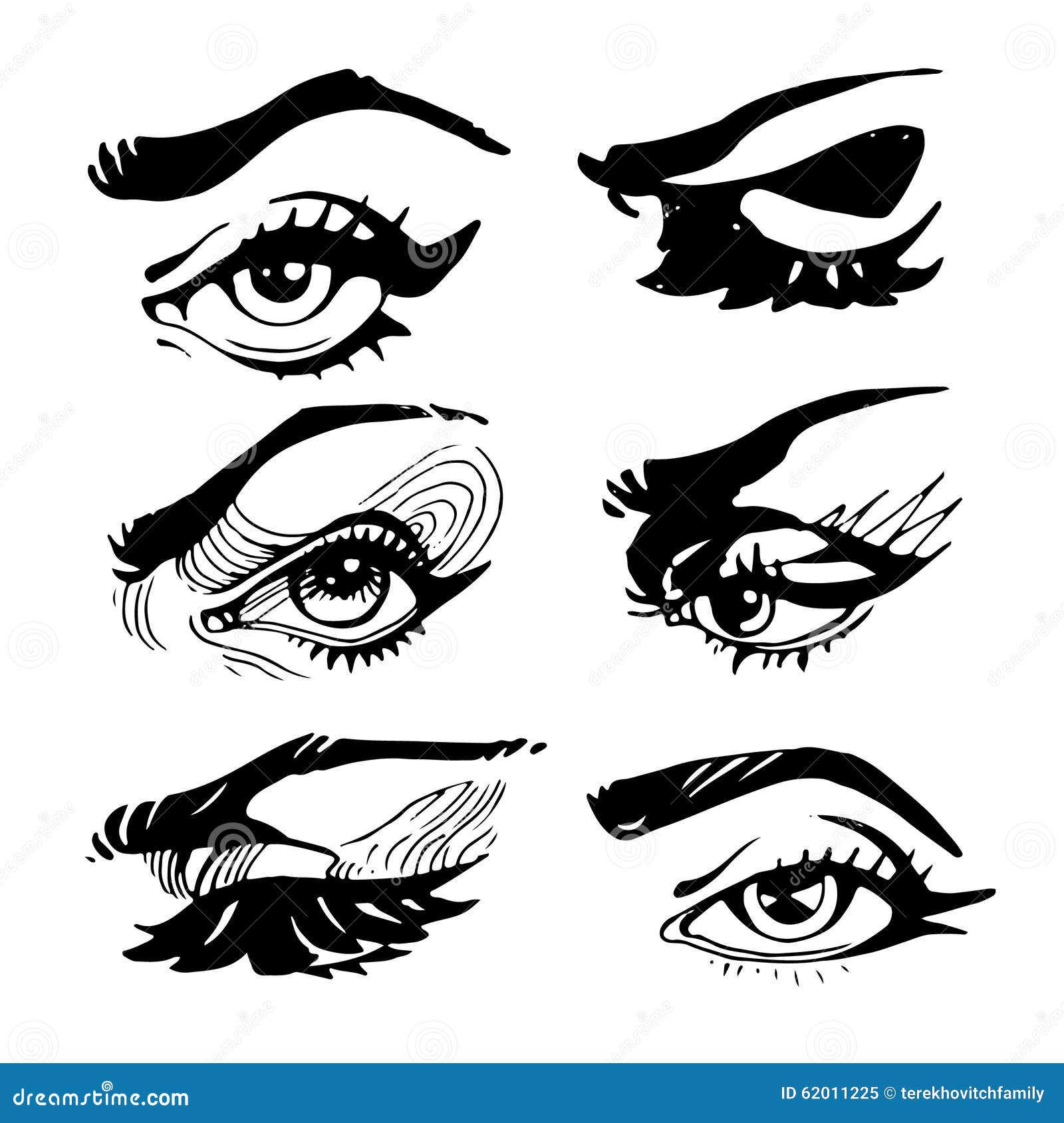 Woman Make-up Eyes with Eyebrows and Lashes Stock Vector - Illustration ...