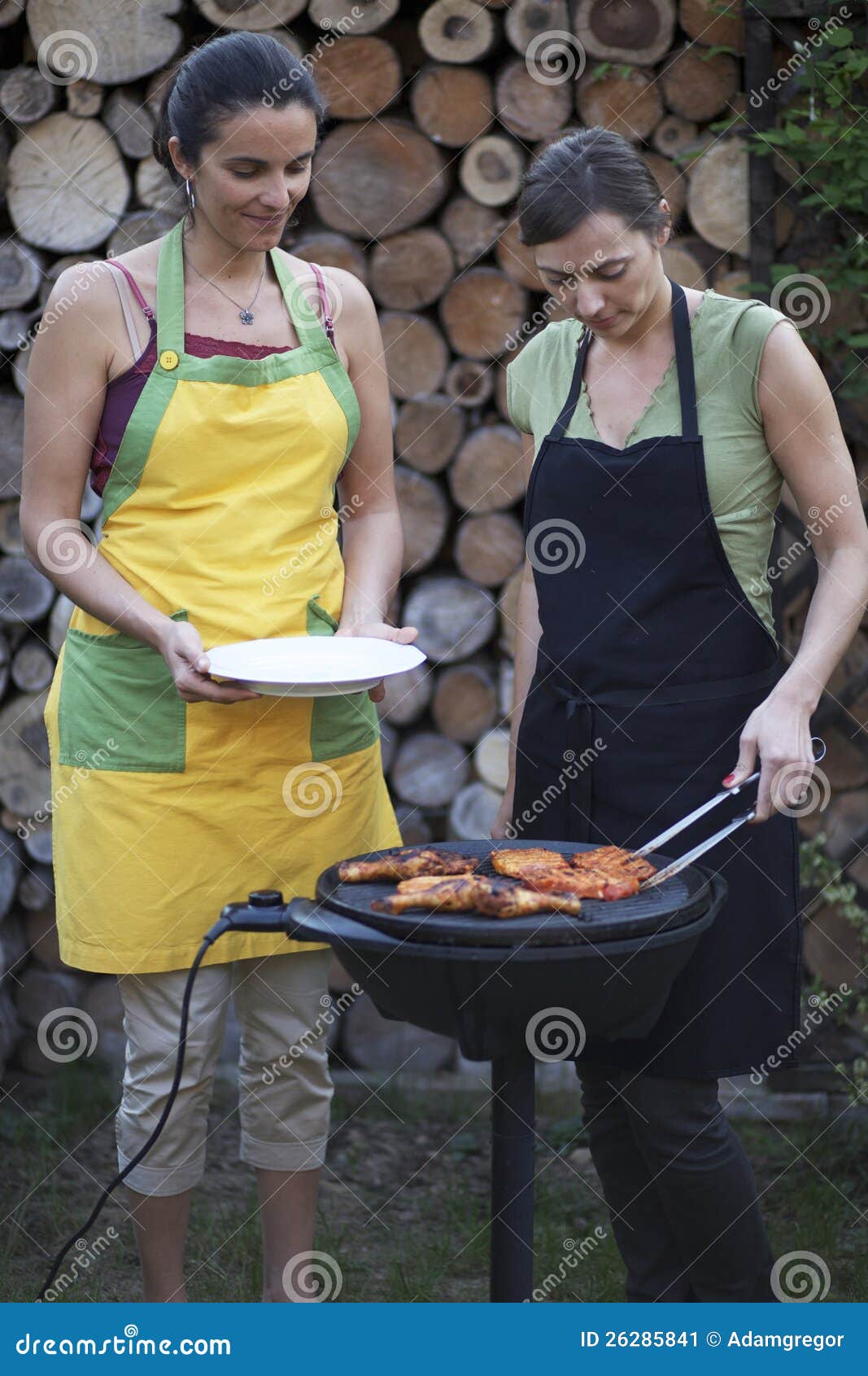Woman making BBQ stock image. Image of party, park, girl - 26285841