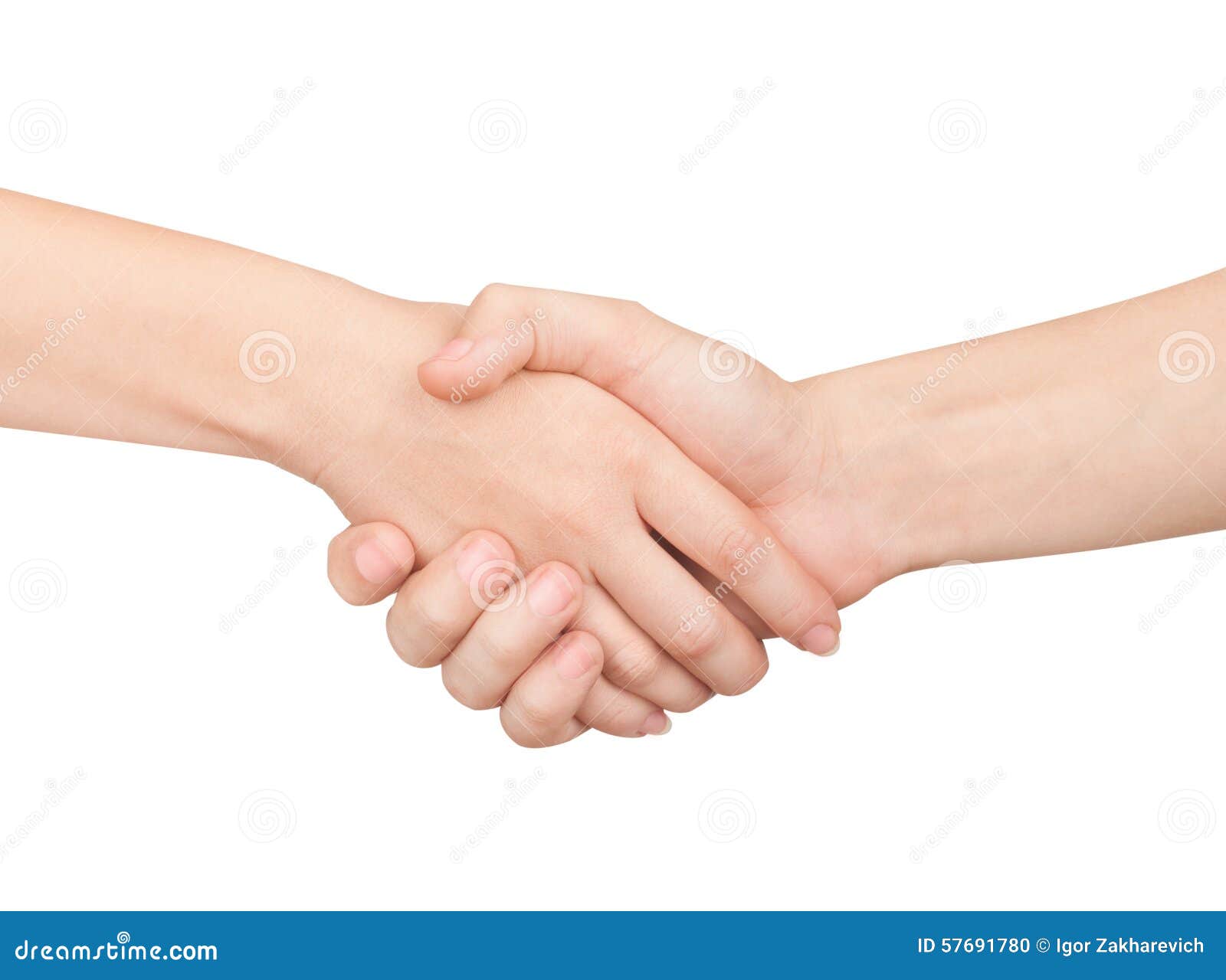 Woman and man handshaking. stock photo. Image of male - 57691780